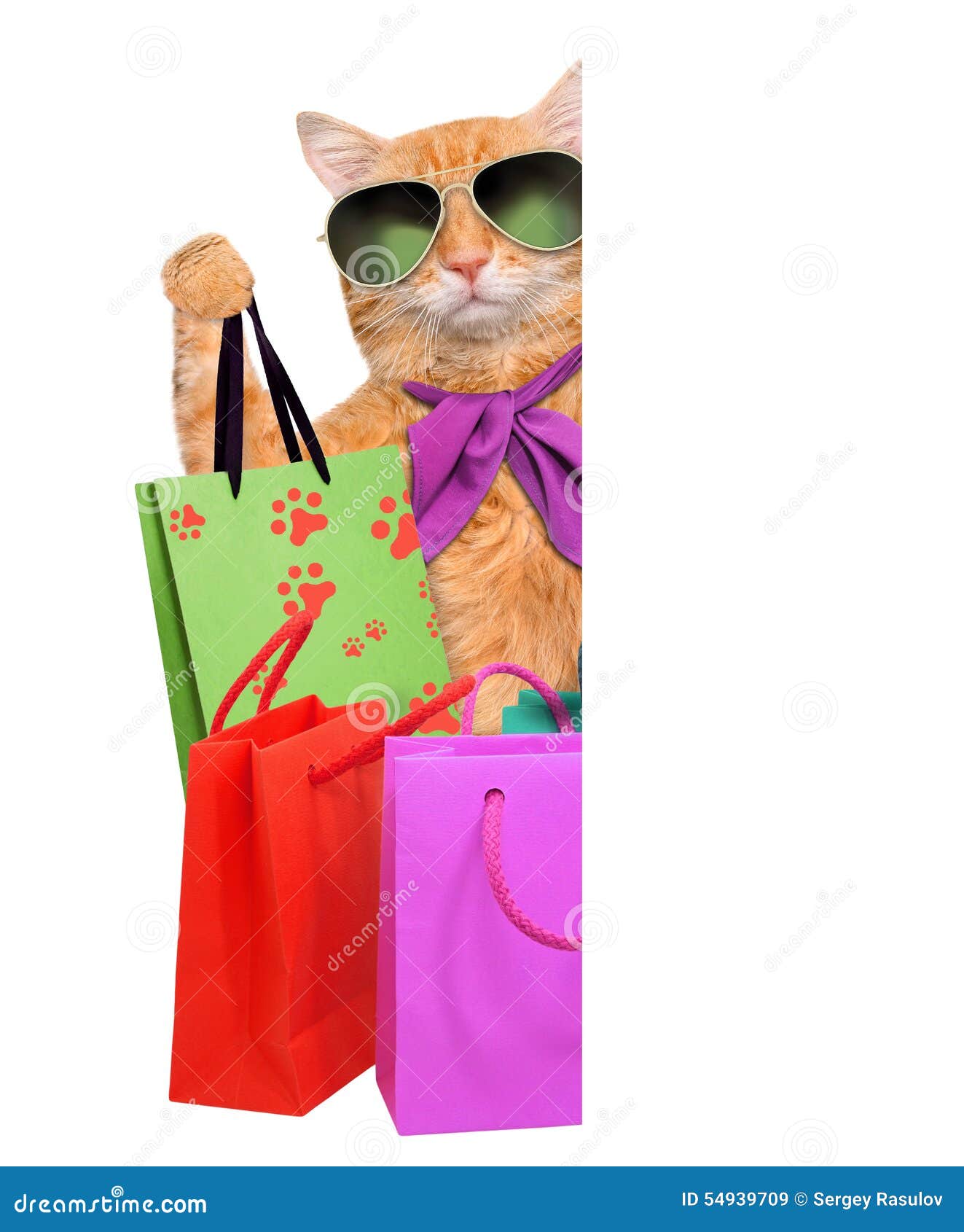 Cat with shopping bags . stock image. Image of luxury - 54939709