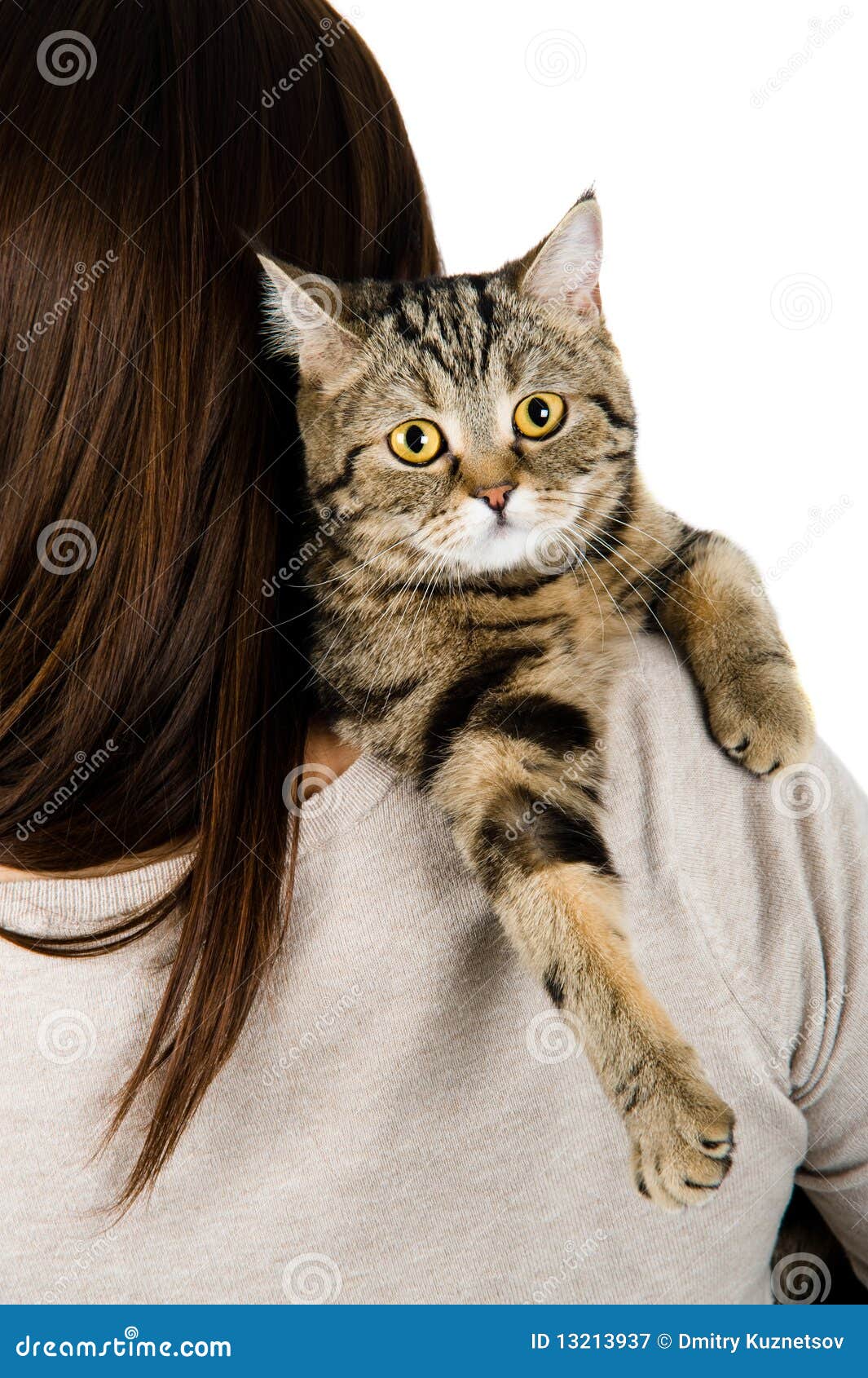 2,099 Shoulder Cat Stock Photos - Free & Royalty-Free Stock Photos from ...