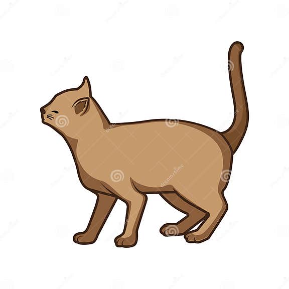 Cat stock vector. Illustration of crazy, design, abstract - 86214840