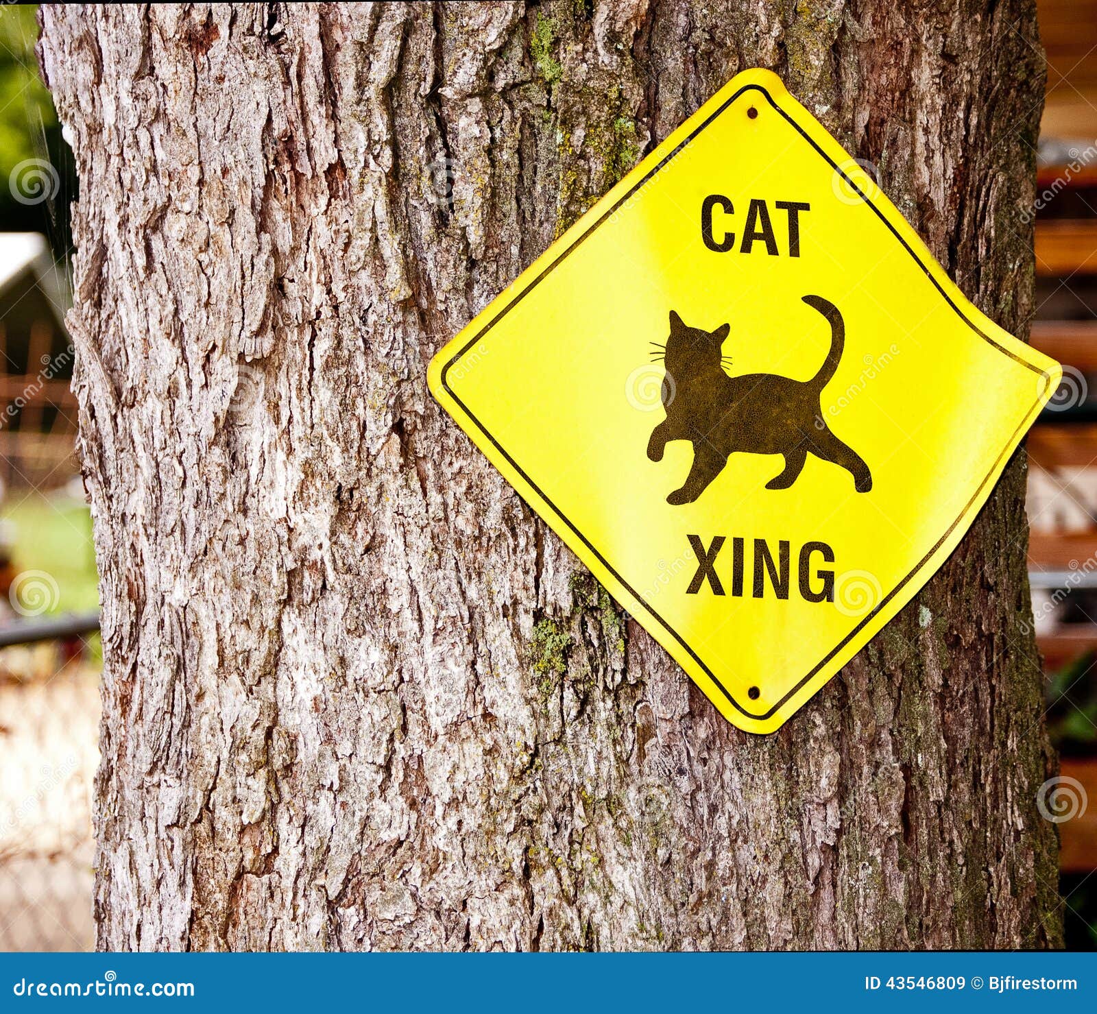 Cat Sign stock image. Image of silhouette, sign, symbols - 43546809
