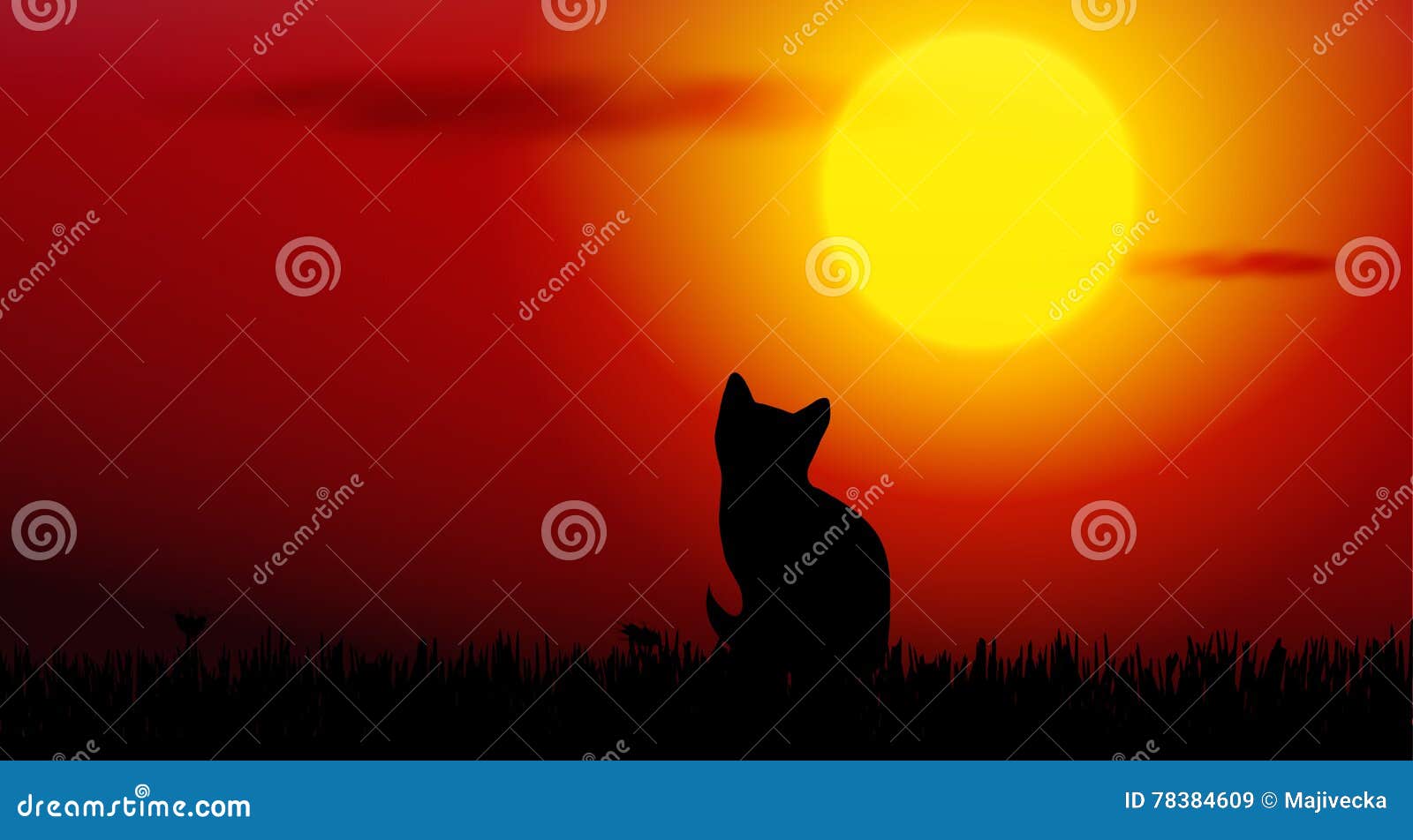 Cat silhouette stock illustration. Illustration of sunset - 78384609
