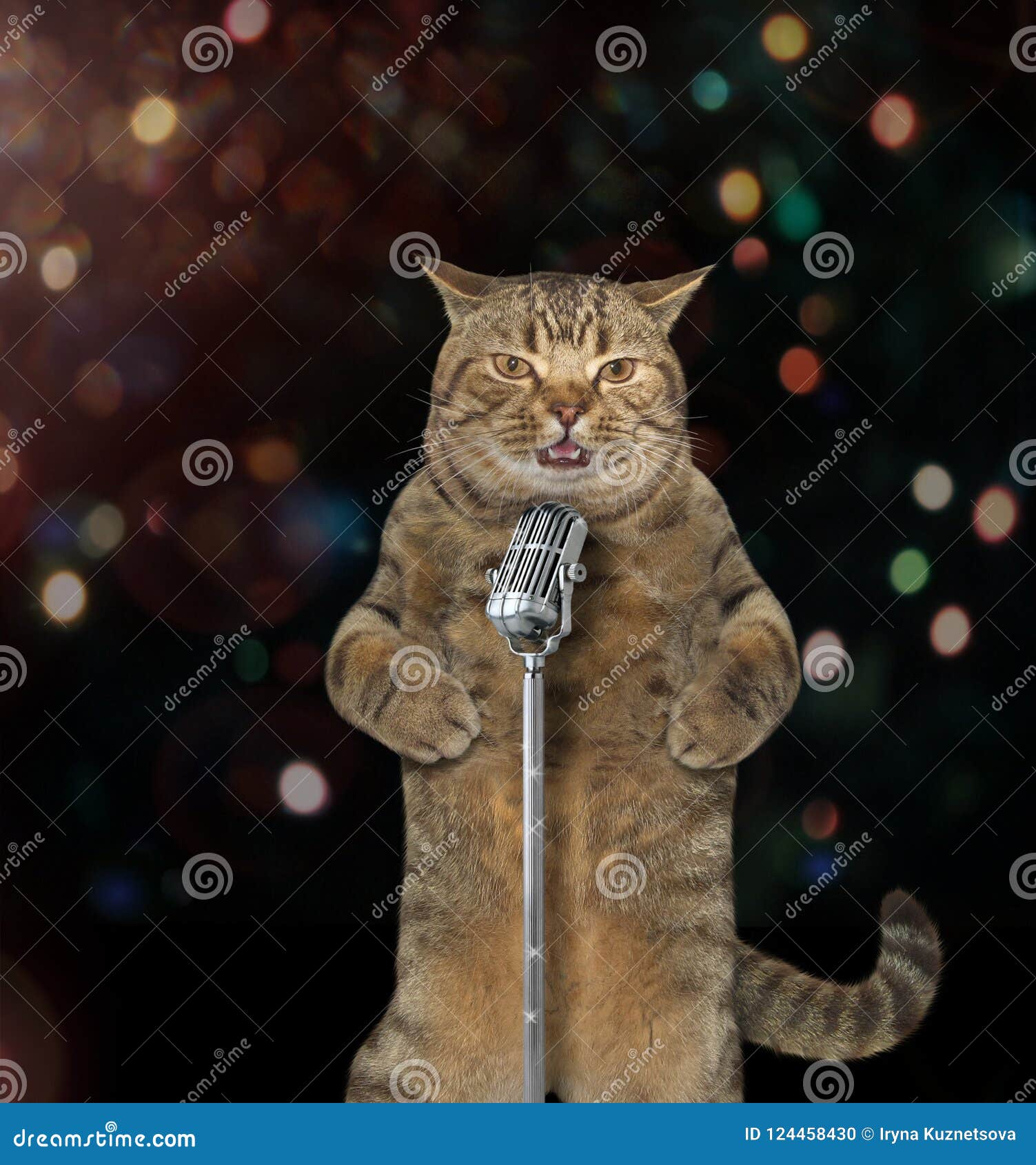 Cat singer 1 stock photo. Image of funny, idol, stage - 124458430