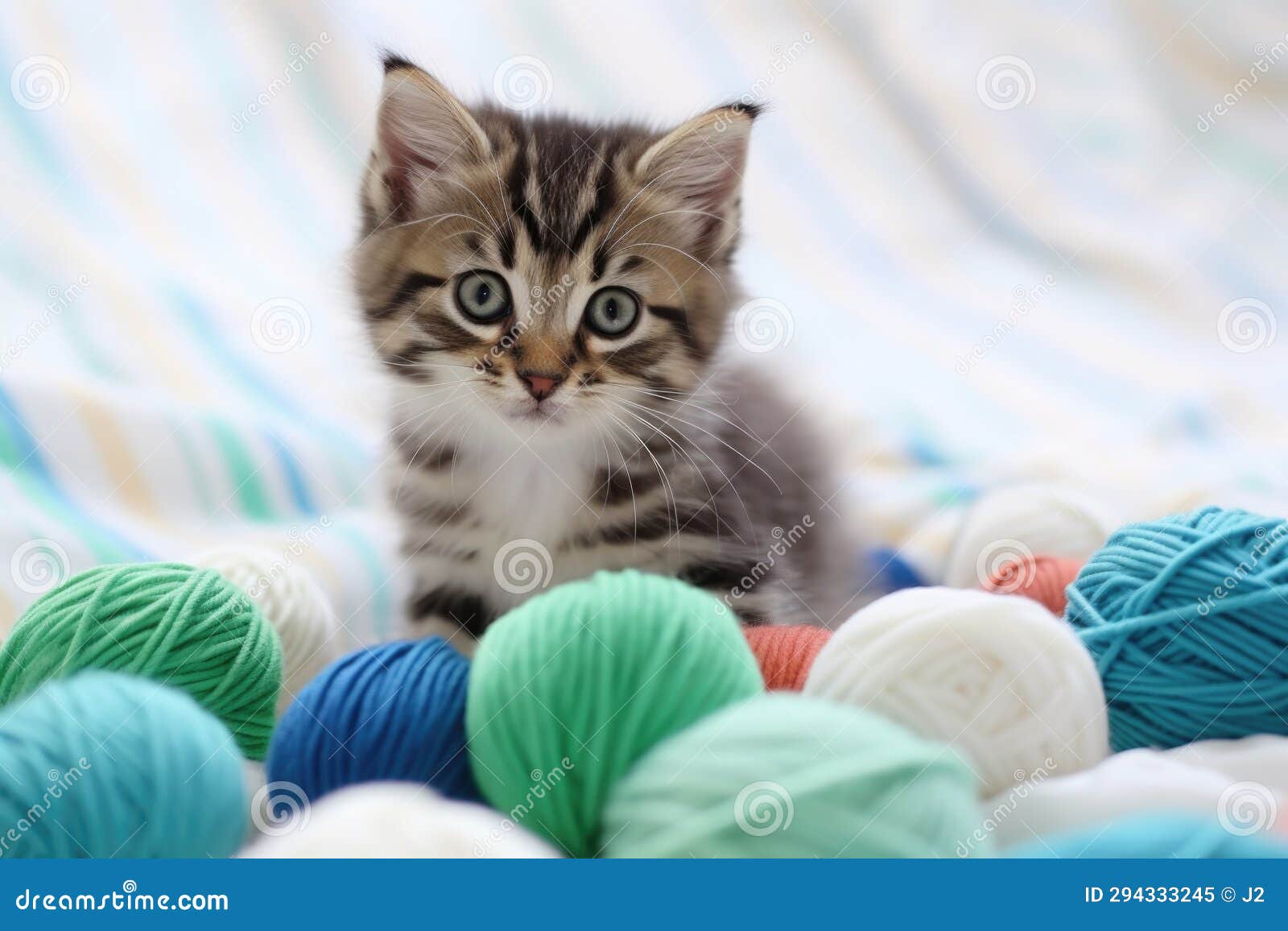 The Cat is Sitting among Balls of Thread. Stock Image - Image of home ...