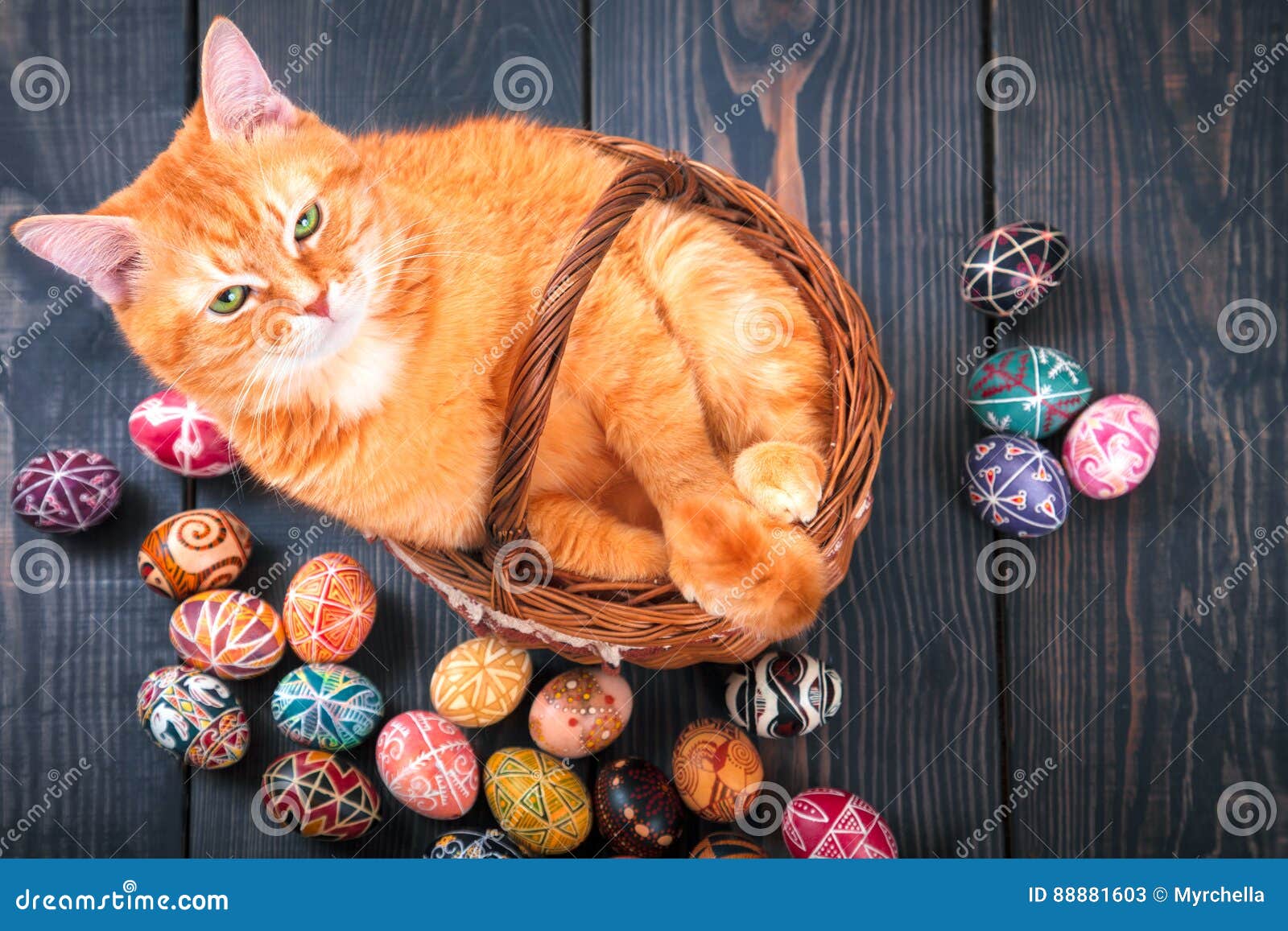 Cat Sitting in the Basket on a Wooden Background with Easter Eggs ...