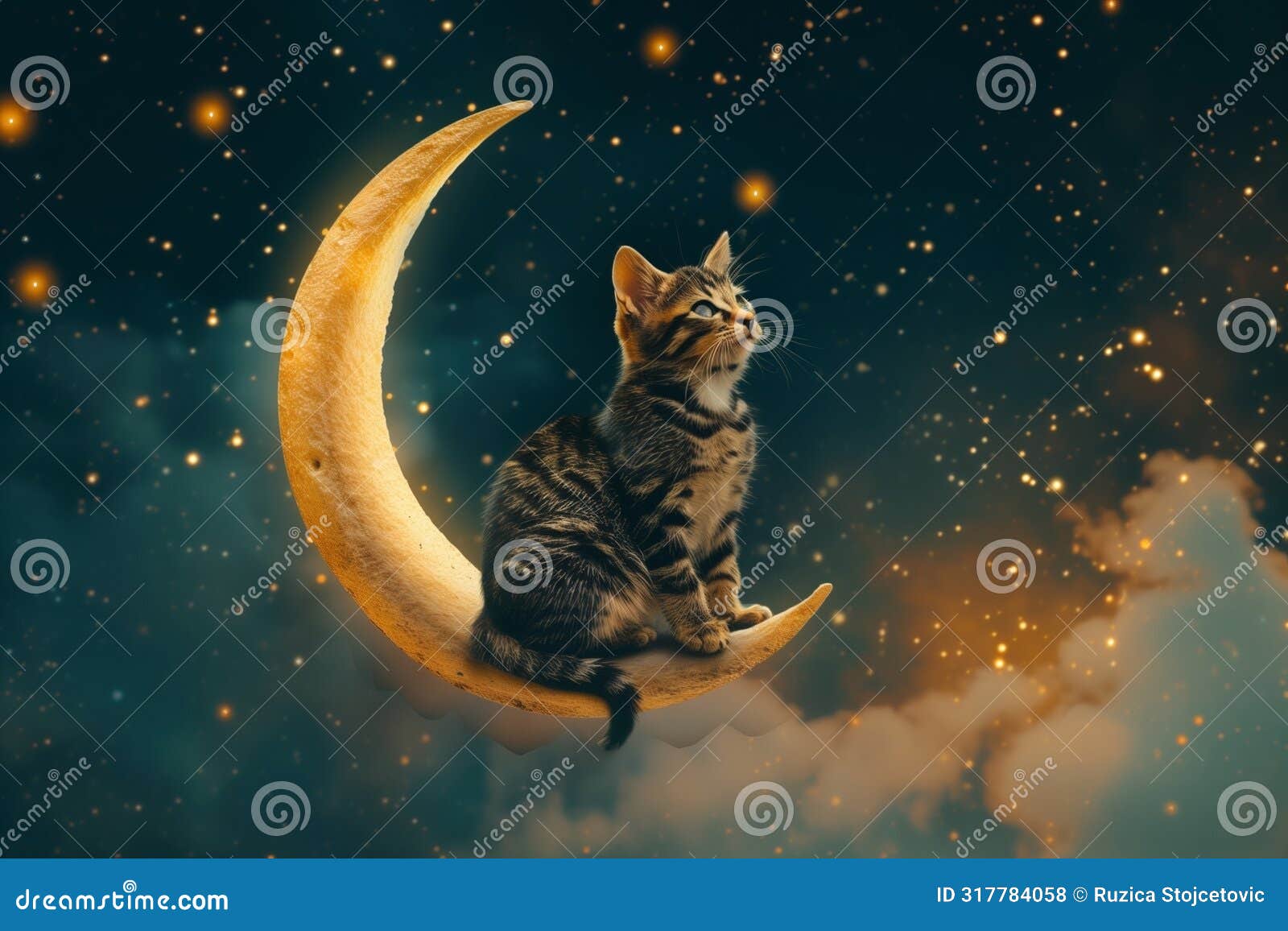 Cat Sitting on the Crescent Moon Ai Illustration Stock Illustration ...