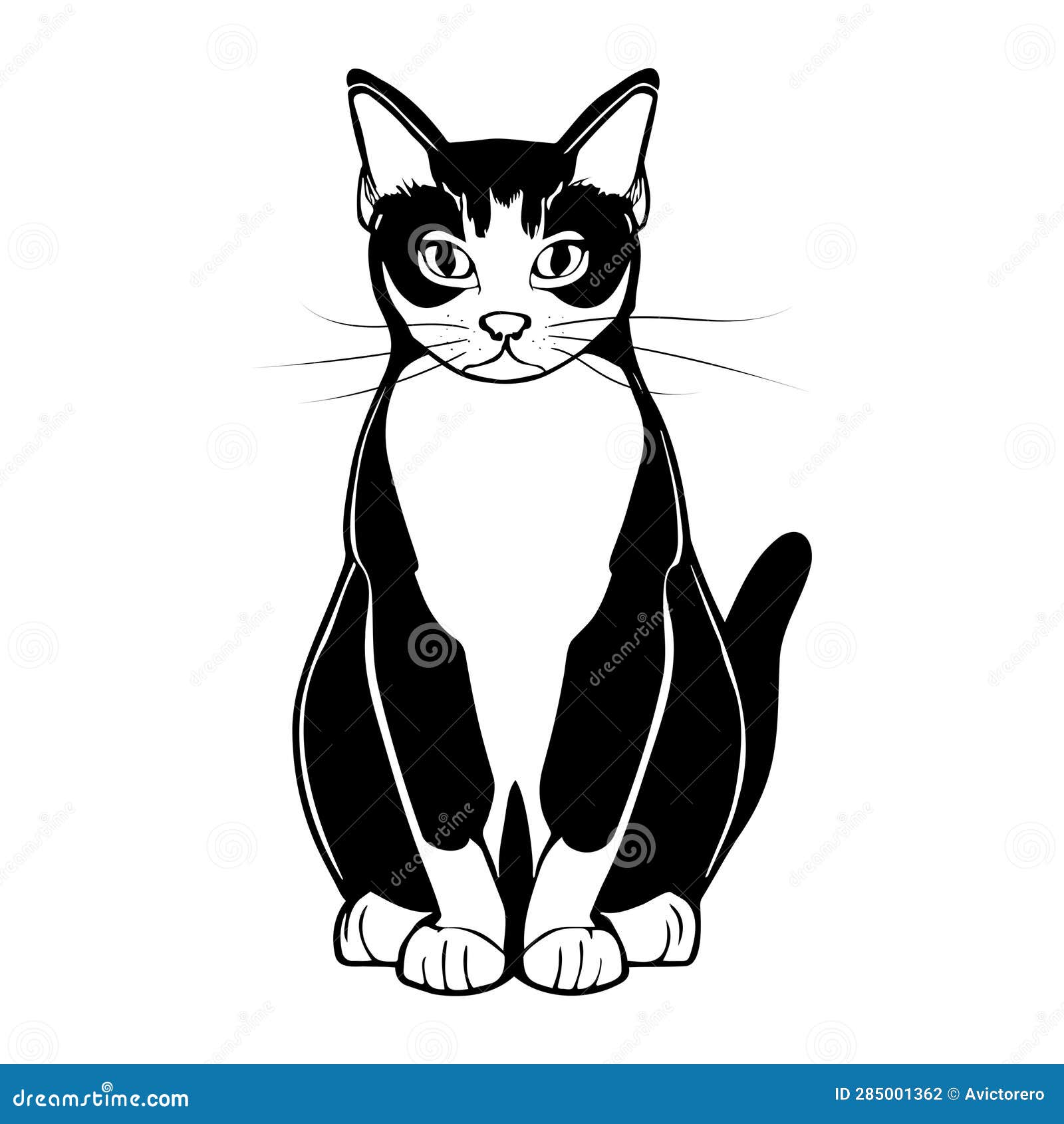 Cat sitting. Front view stock vector. Illustration of standing - 285001362