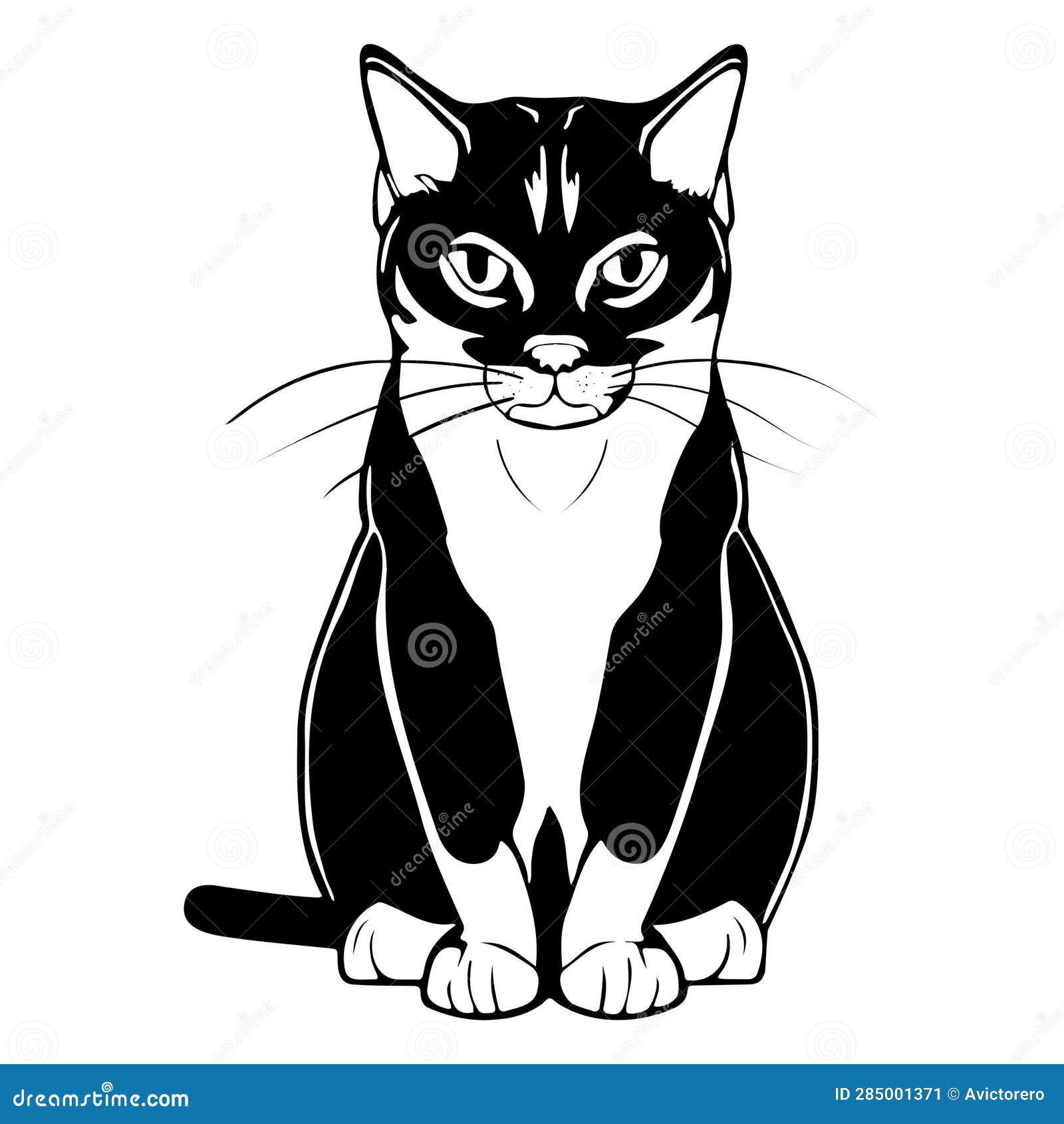 Cat sitting. Front view stock vector. Illustration of feline - 285001371