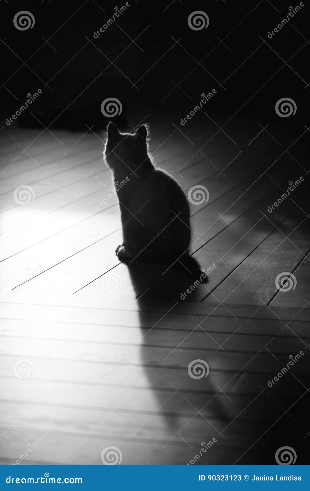 Royalty Free Images, Cartoons, Illustrations And Photos Designed By ...