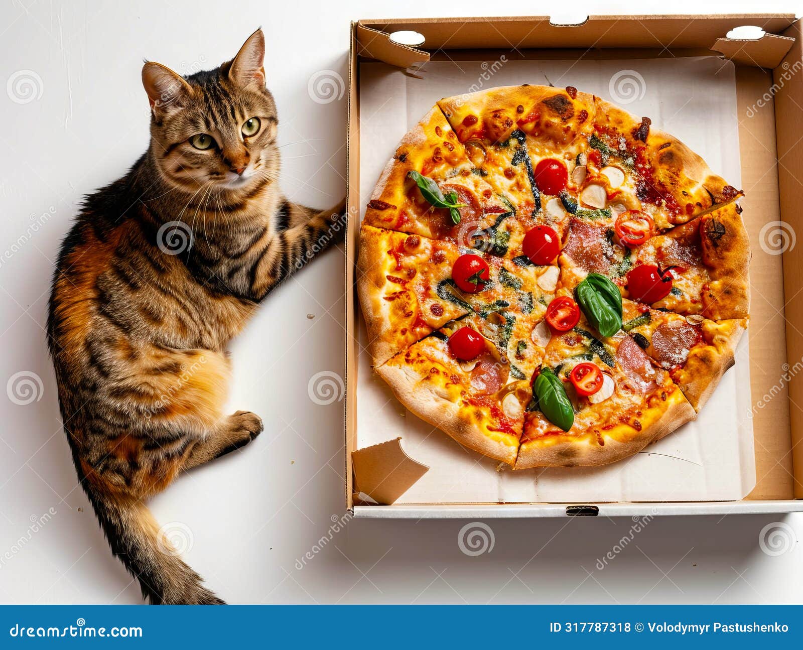 A Cat is Sitting Next To a Pizza Box with a Slice of Pizza Stock Photo ...