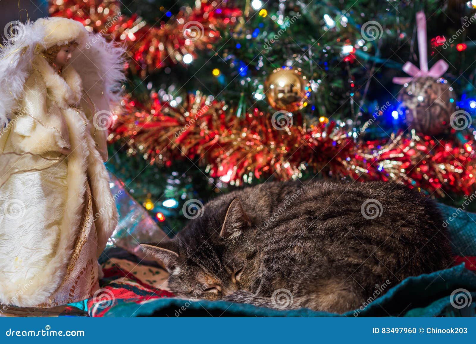 Cat Sleeping by Christmas Tree with Angel Stock Photo - Image of ...