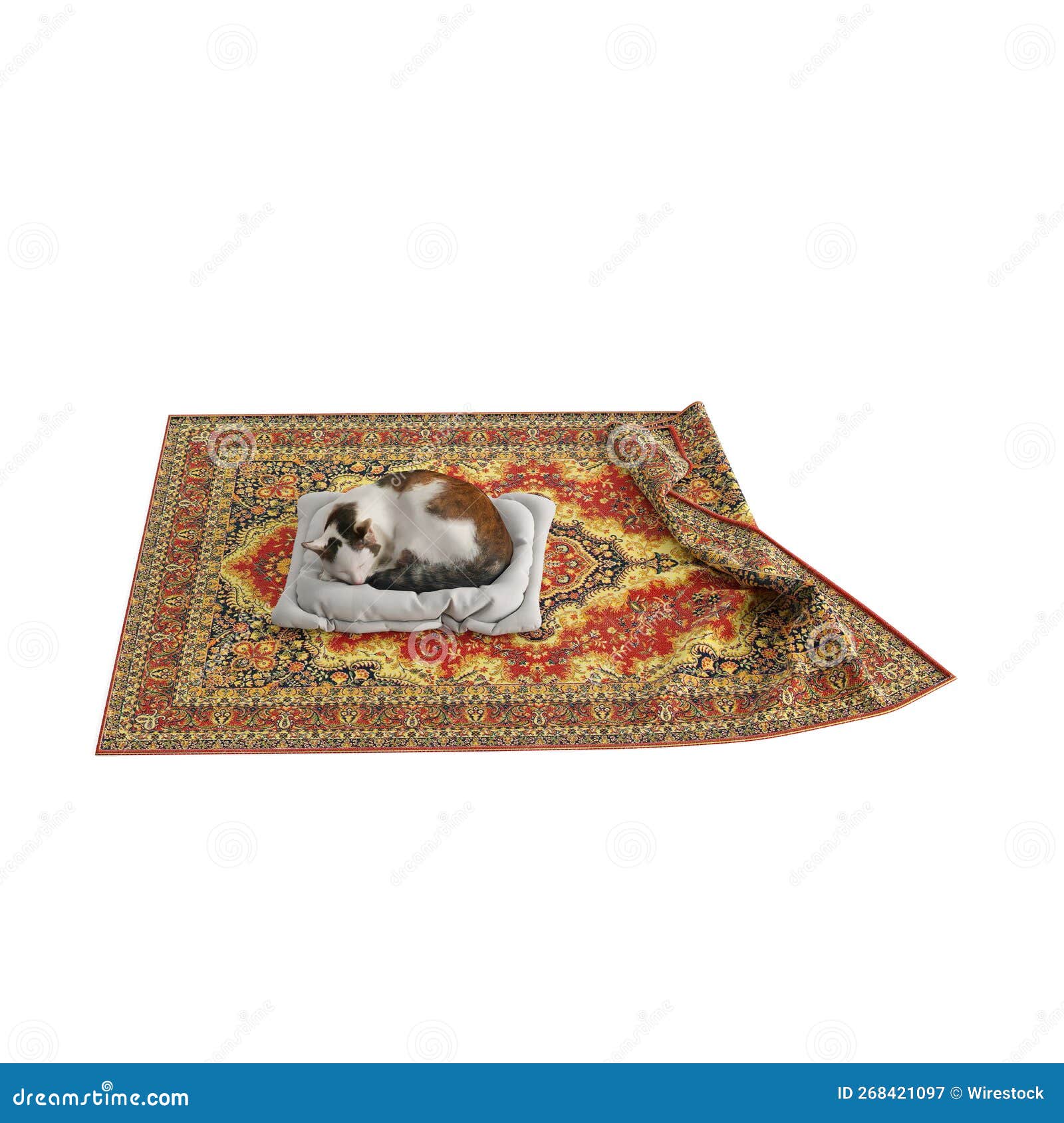 Cat Sleeping on a Rug Isolated on White Background Stock Image - Image ...