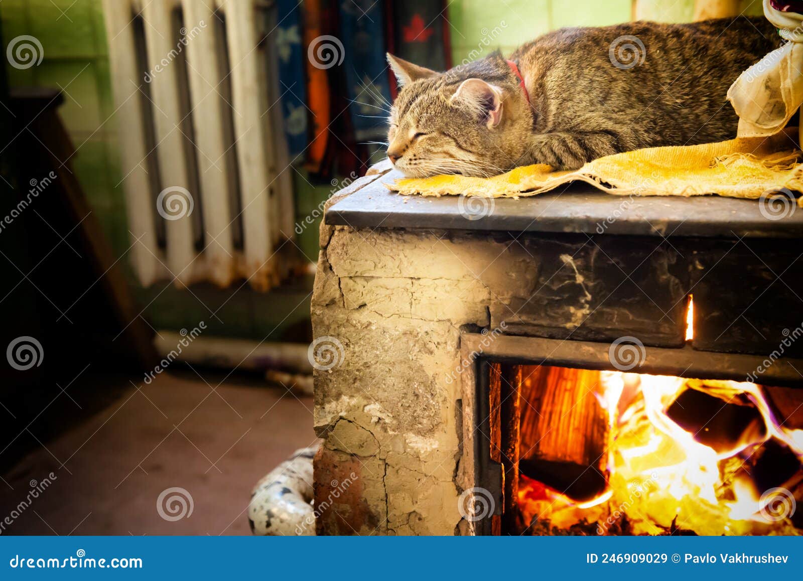 Cat Sleeping on Stove Fireplace Stock Image - Image of autumn ...