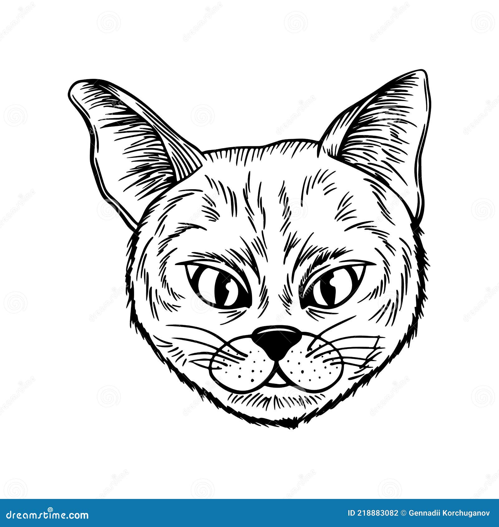Cat Spotted Striped Head Symmetrical Sketch Vector Graphics Black and ...