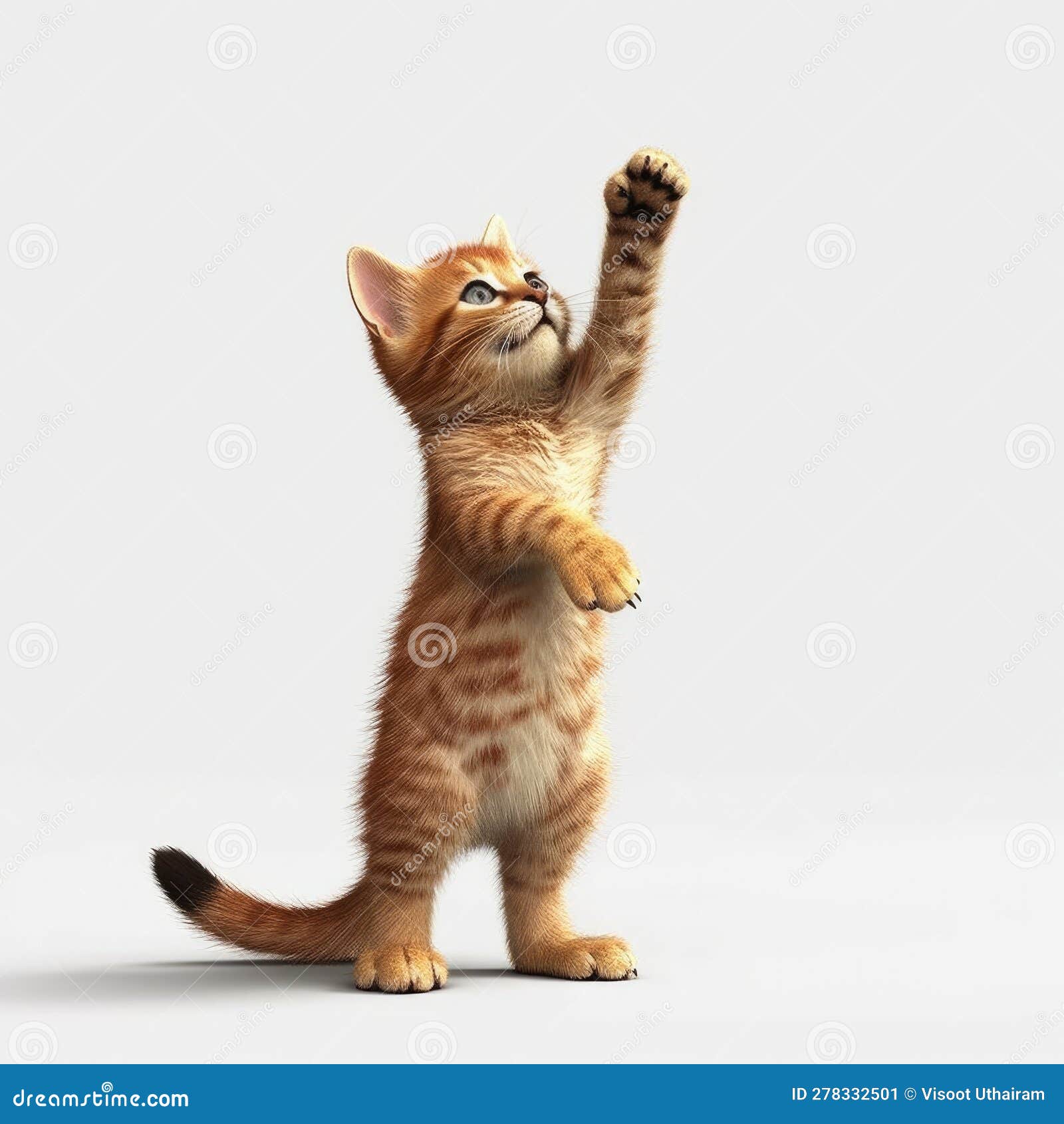Raise Hand Cat