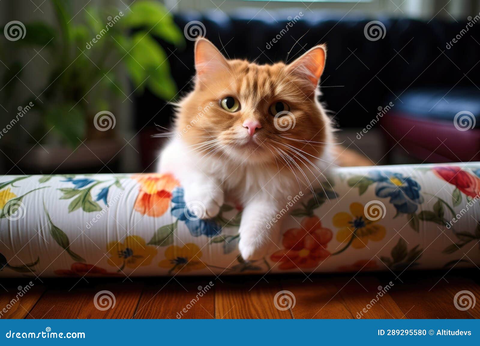 A Cat Stretched Out on a Rolled-up Yoga Mat Stock Photo - Image of ...
