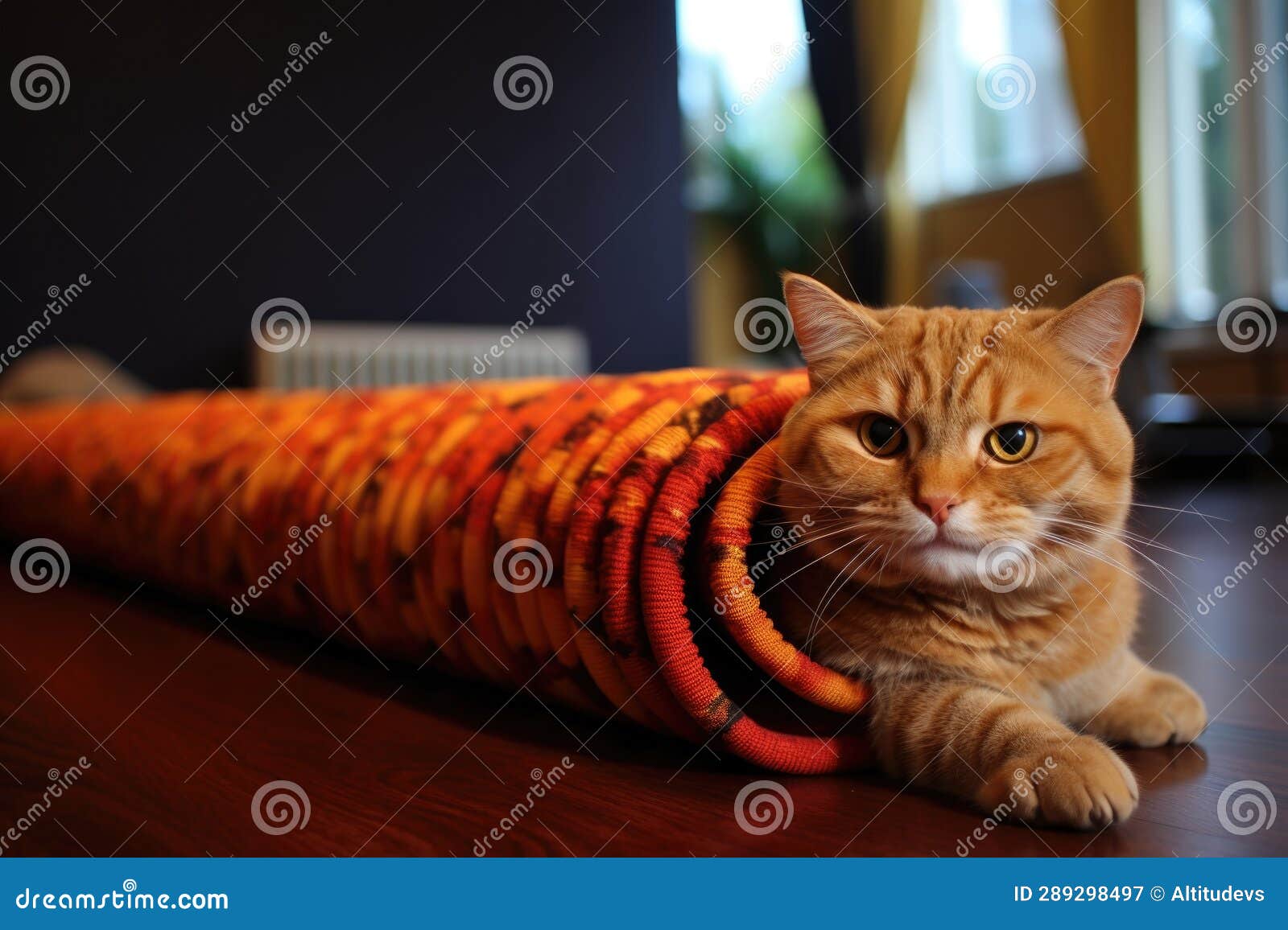 A Cat Stretched Out on a Rolled-up Yoga Mat Stock Image - Image of ...
