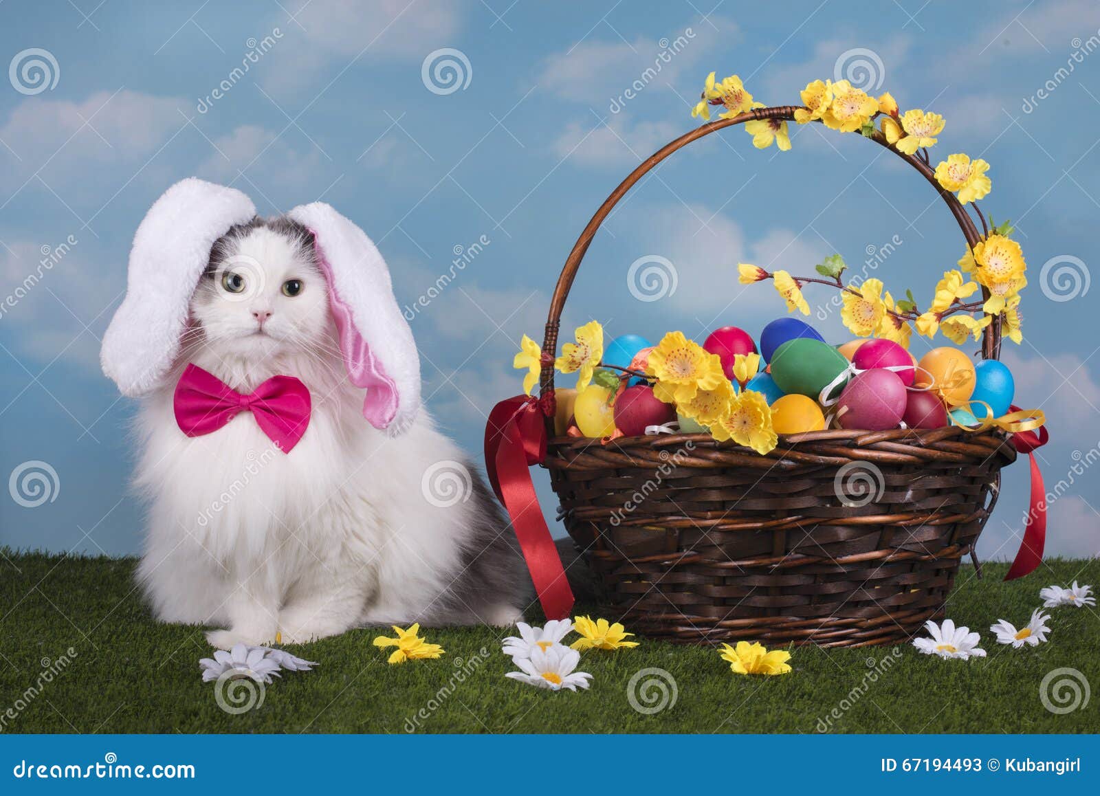Cat in the Suit Bunny Celebrates Easter Stock Image - Image of basket ...