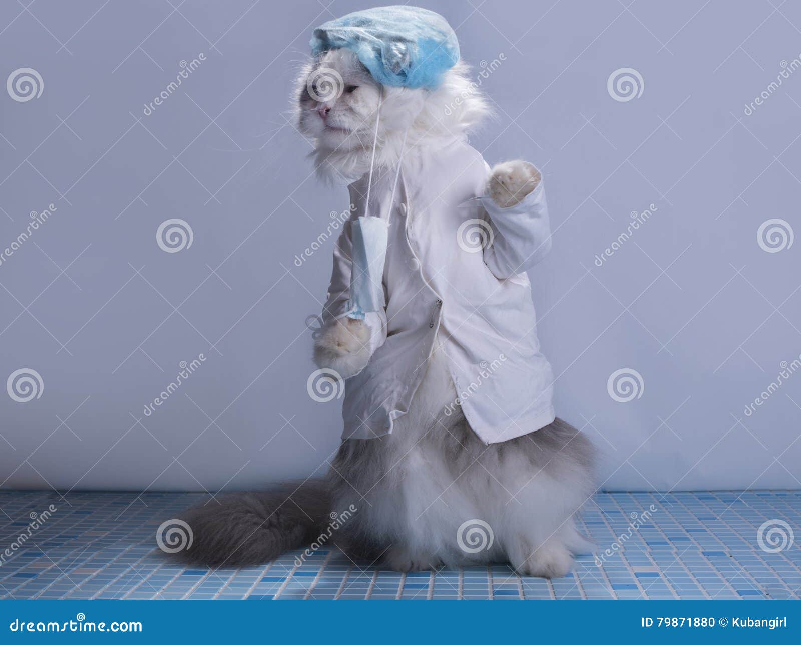 Surgeon Preparing To Sew Up Wound On Leg After Surgery To Removal Ankle ...