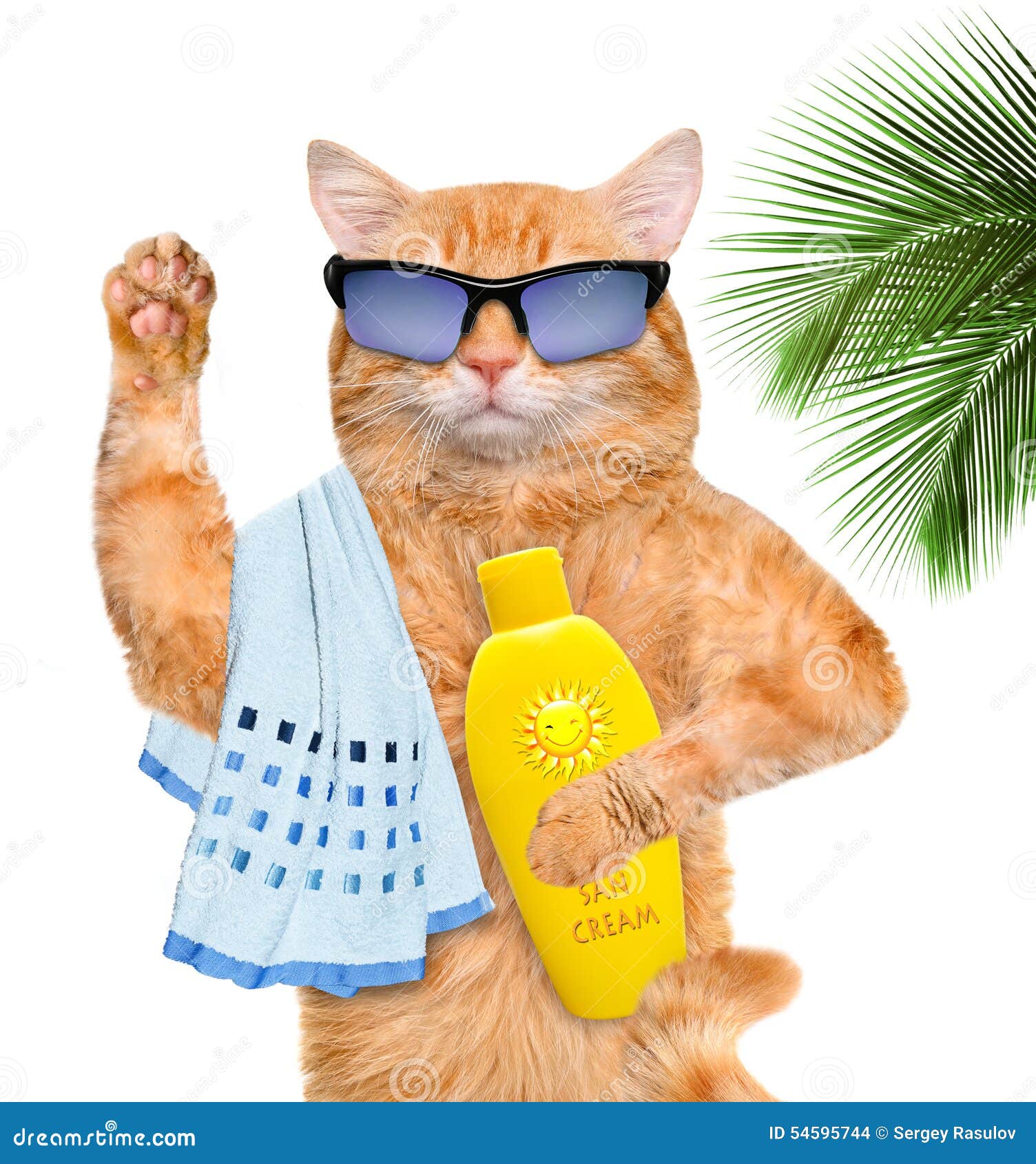 Cat Flip Stock Photos - Free & Royalty-Free Stock Photos from Dreamstime