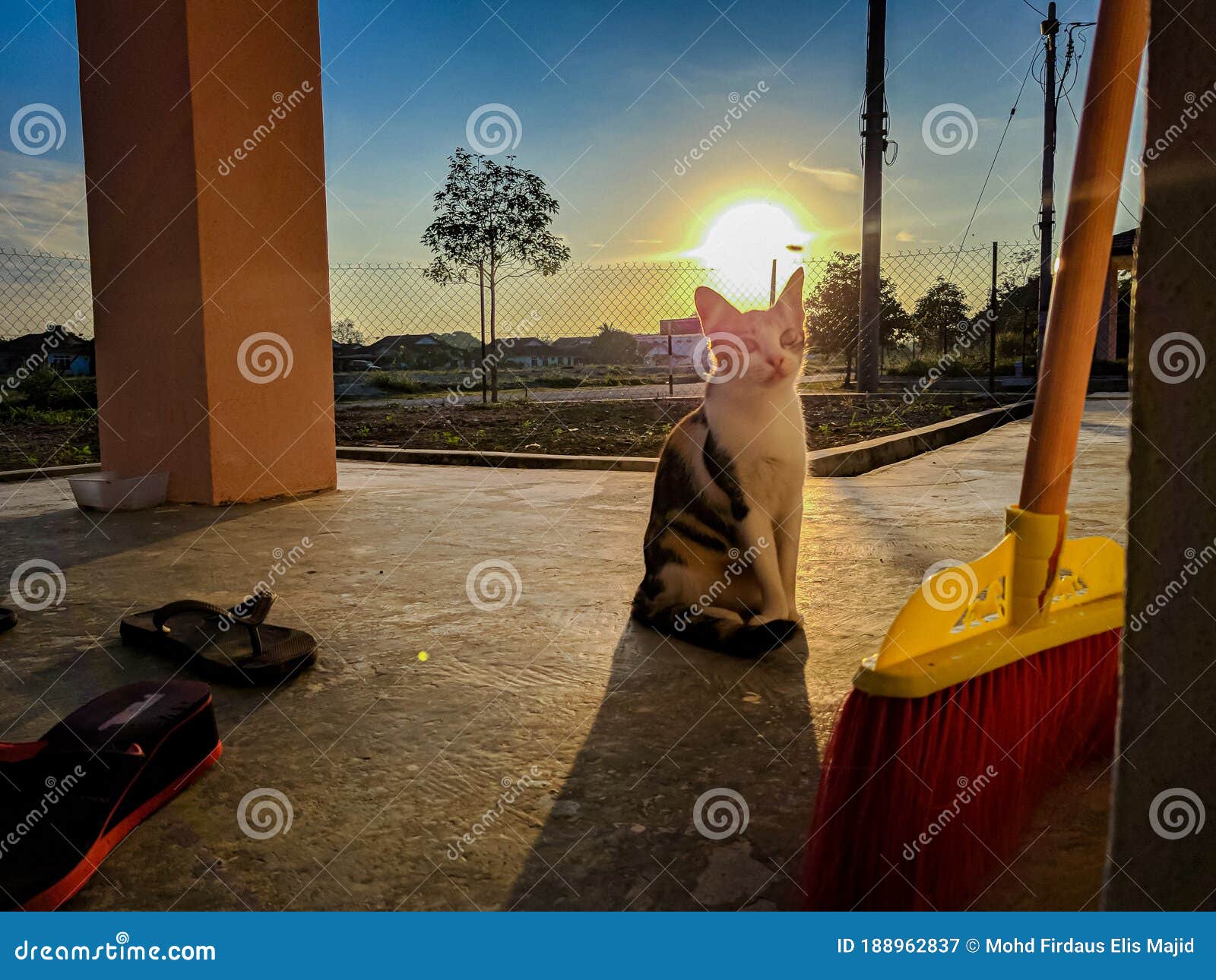 Cat, sunrise and sweeper stock image. Image of chimneysweep - 188962837