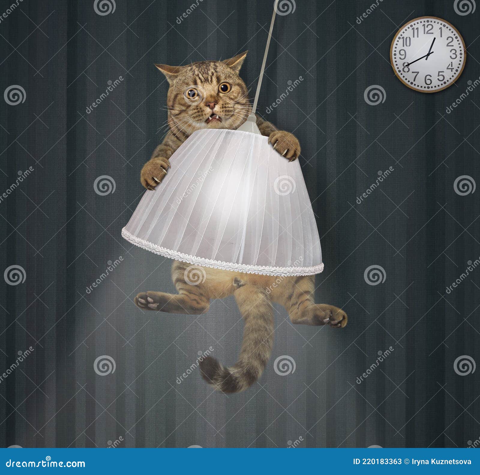 Cat Swinging on Chandelier 4 Stock Image - Image of scared, jump: 220183363