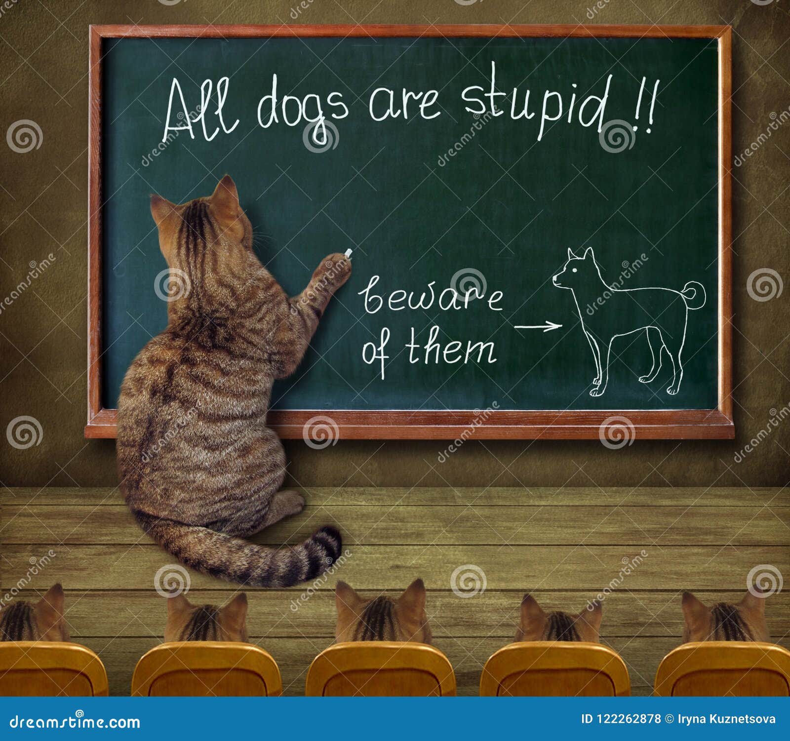 Cat Teacher Writes on a Blackboard Stock Illustration - Illustration of ... Cat Teacher Writes on a Blackboard Stock Illustration - Illustration of ...