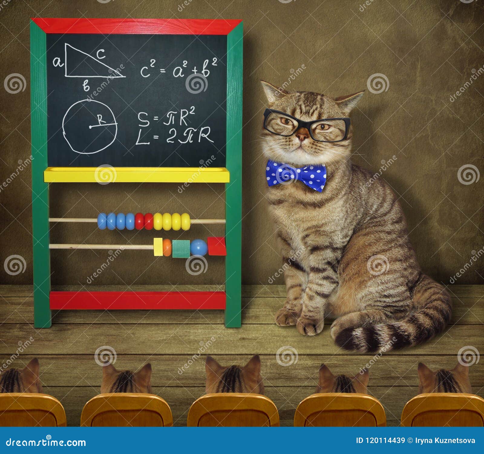 Cat with his students 2 stock image. Image of formulas - 120114439