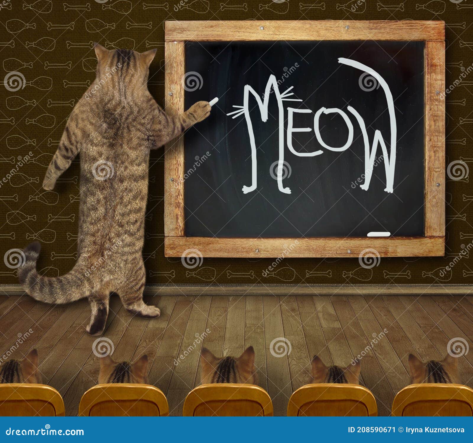 Cat teacher wrote meow 2 stock image. Image of meow - 208590671