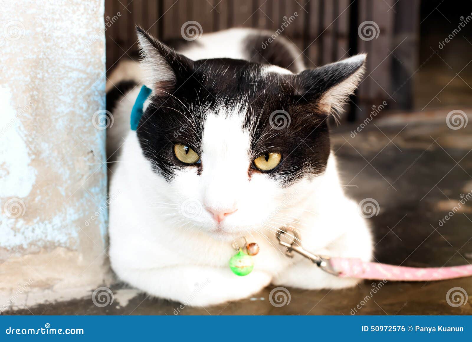 An Old Rag Were Tied To The Electric Wire Stock Photo | CartoonDealer ...