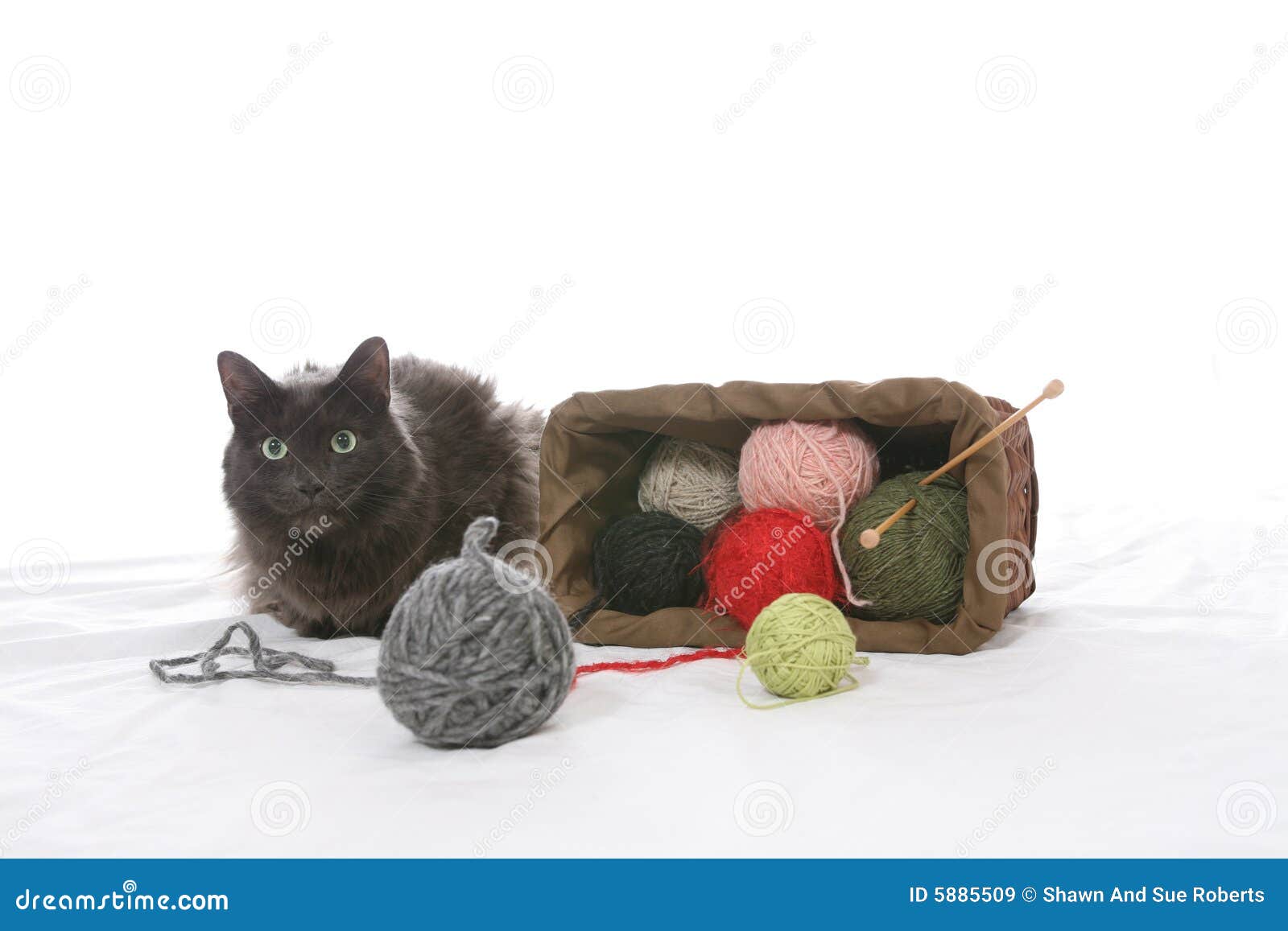 Cat Tipped Over Knitting Basket Stock Image - Image of wool, wicker ...