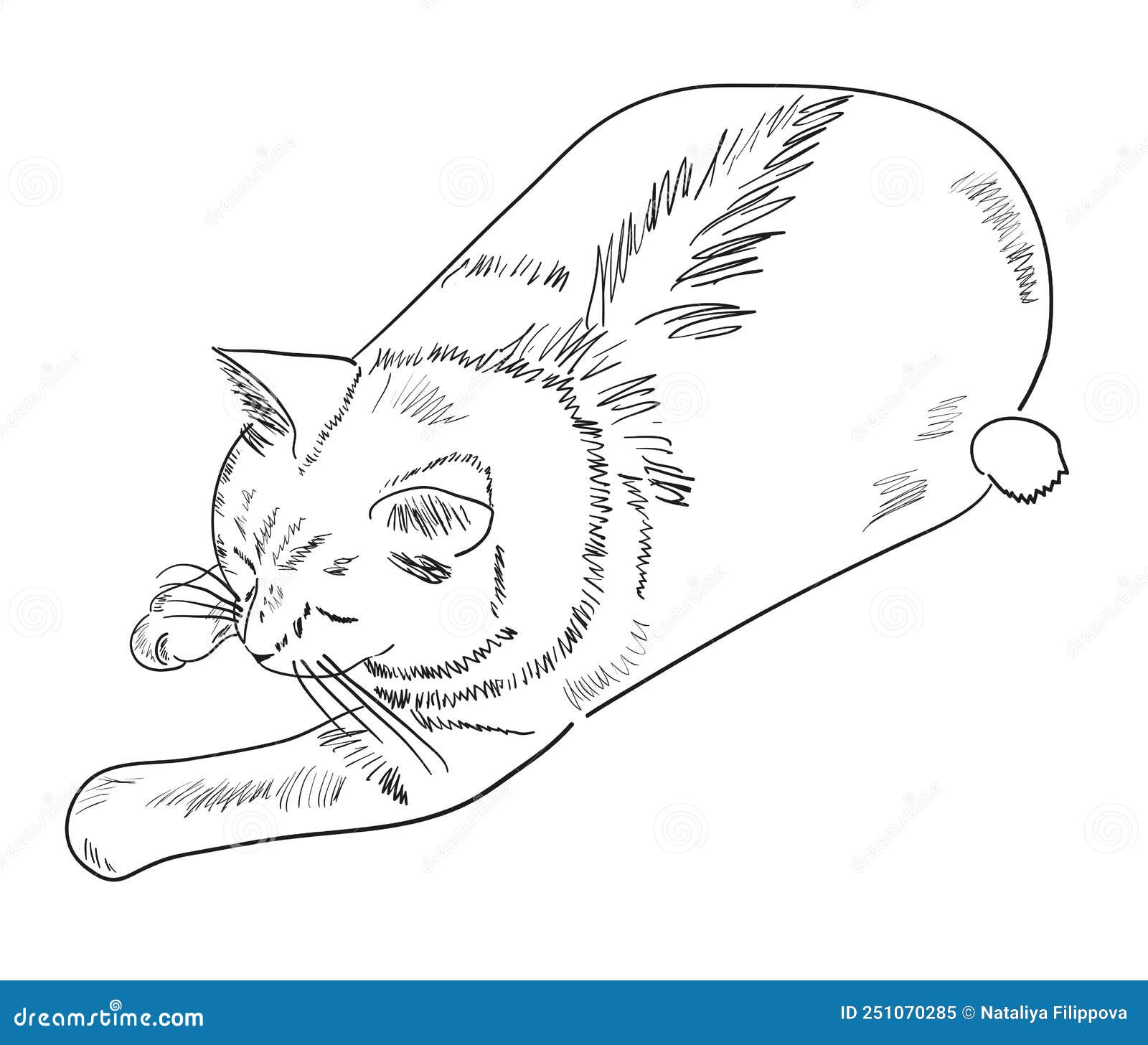 Cat top view stock vector. Illustration of view, mammal - 251070285