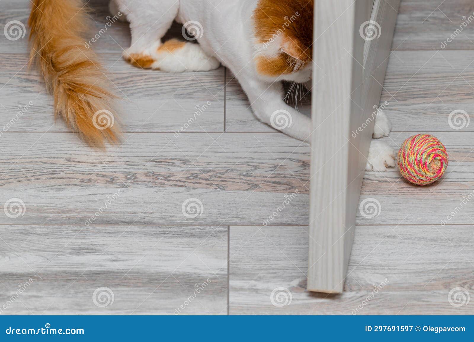The Cat is Trying To Get the Ball with Its Paw Stock Image - Image of ...