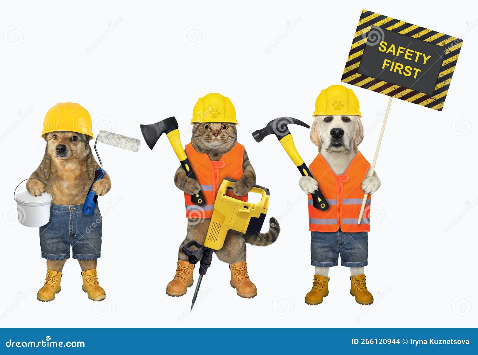 Cat and Two Dogs with Construction Tools Stock Photo - Image of ...