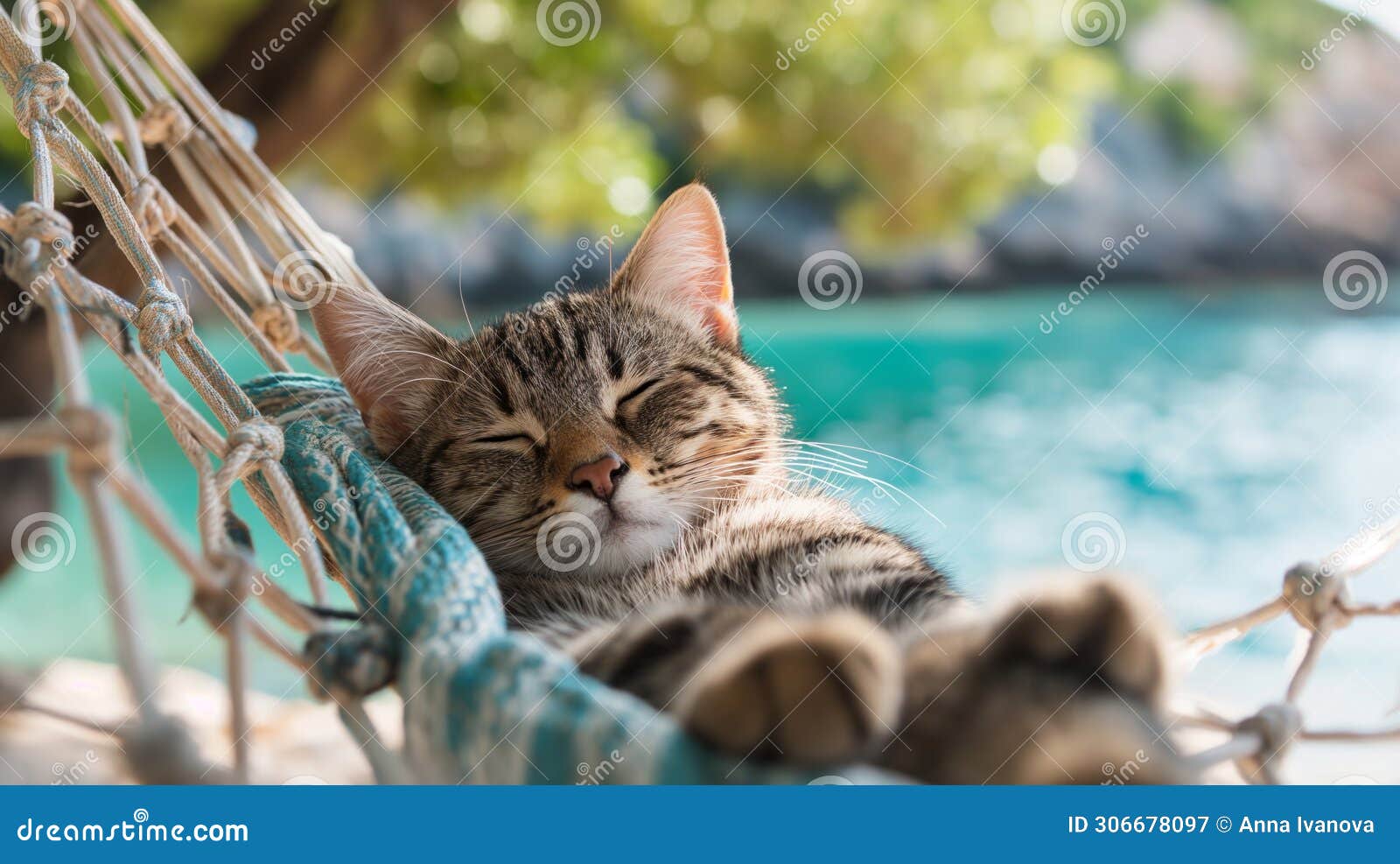 Cat Vacation in a Nice Resort, Relax, Cat-friendly, Cats, Chil Stock ...