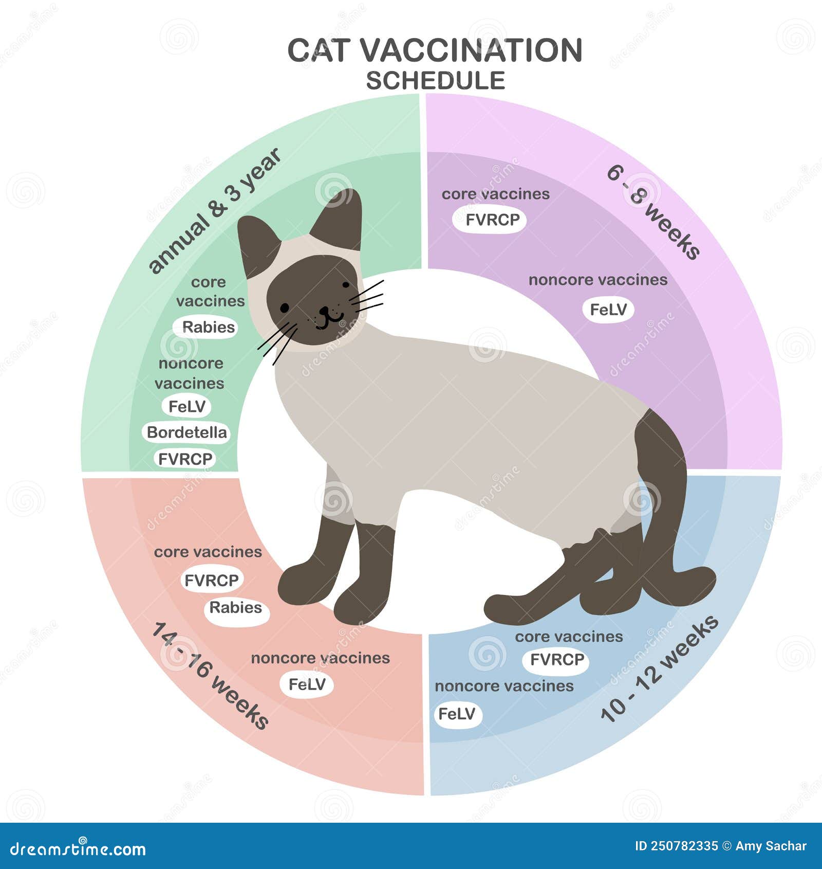 HPV Vaccine Schedule Reminder Sticker Card Template Set Vector ...