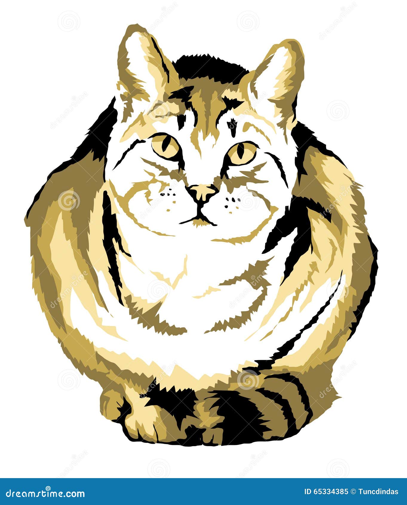 Cat 02 stock vector. Illustration of domeesic, kitten - 65334385