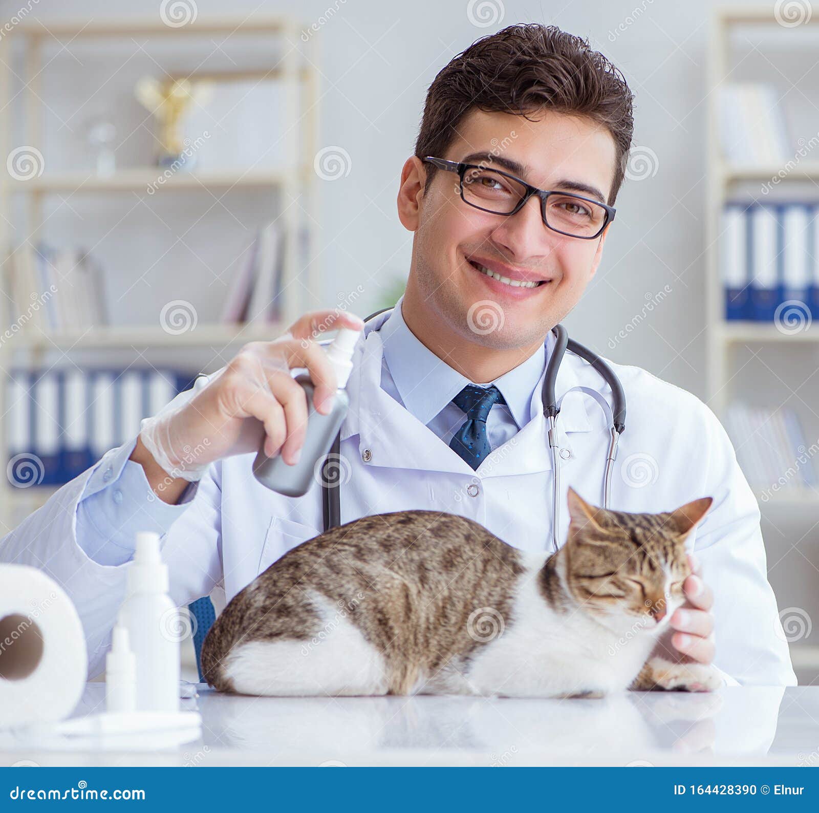 Cat Visiting Vet for Regular Checkup Stock Photo - Image of hospital ...