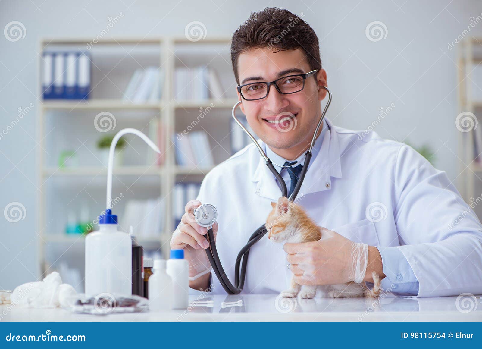 Cat Visiting Vet for Regular Checkup Stock Photo - Image of health ...