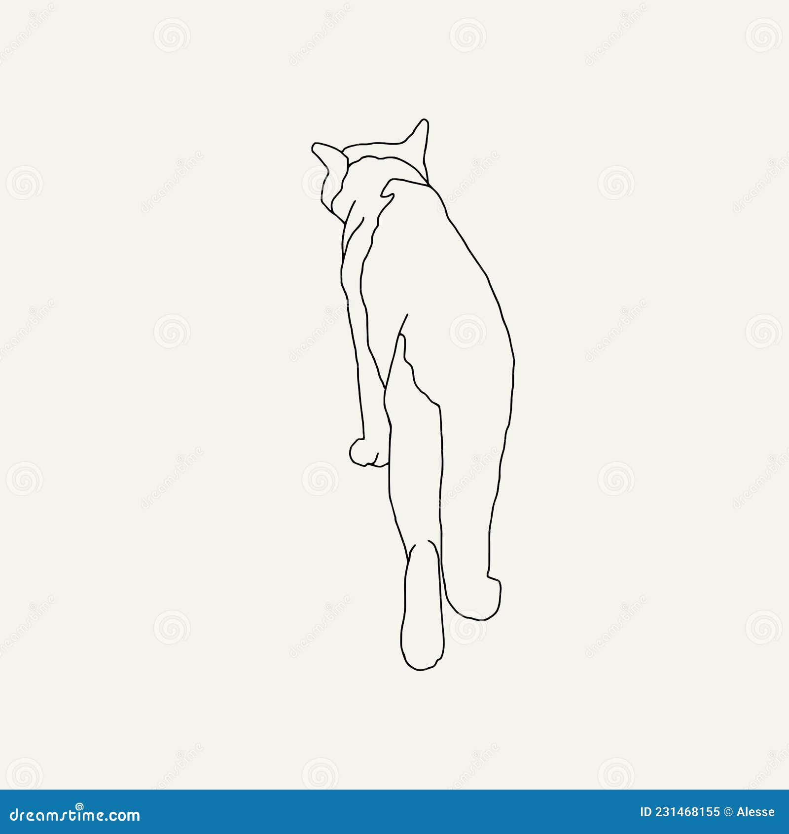 Cat Walking Away From Behind