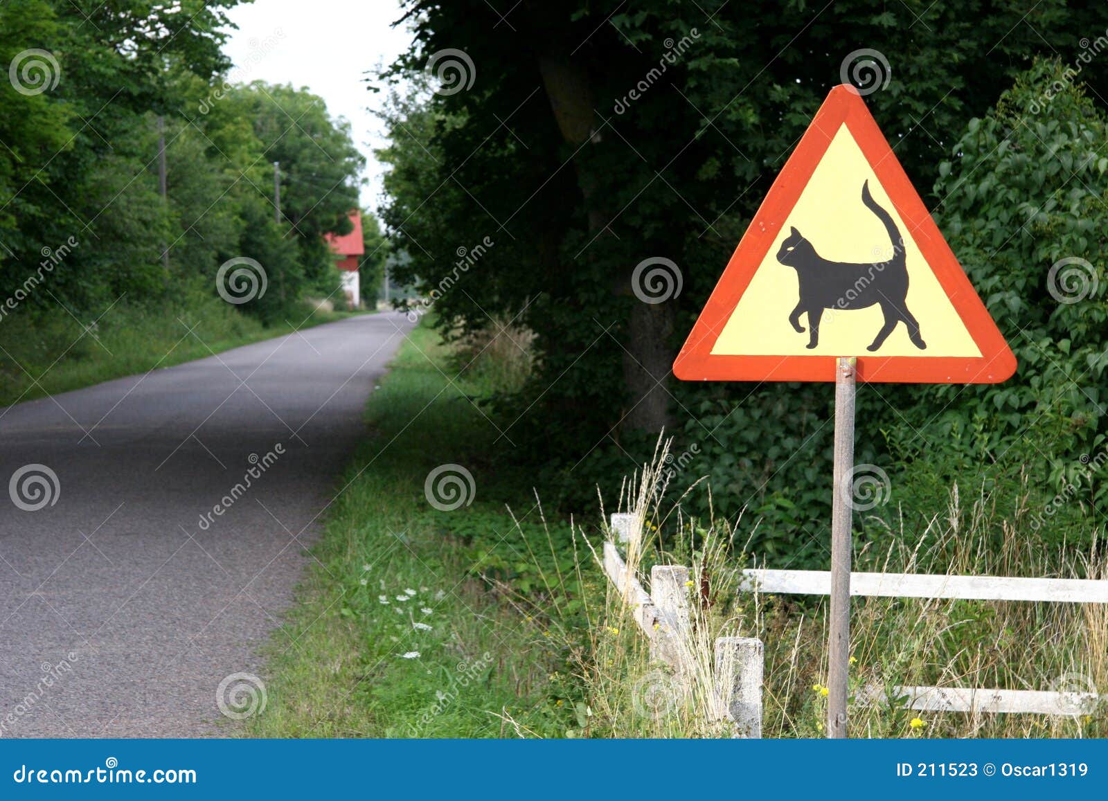 Cat warning stock image. Image of crossing, sign, headsup - 211523