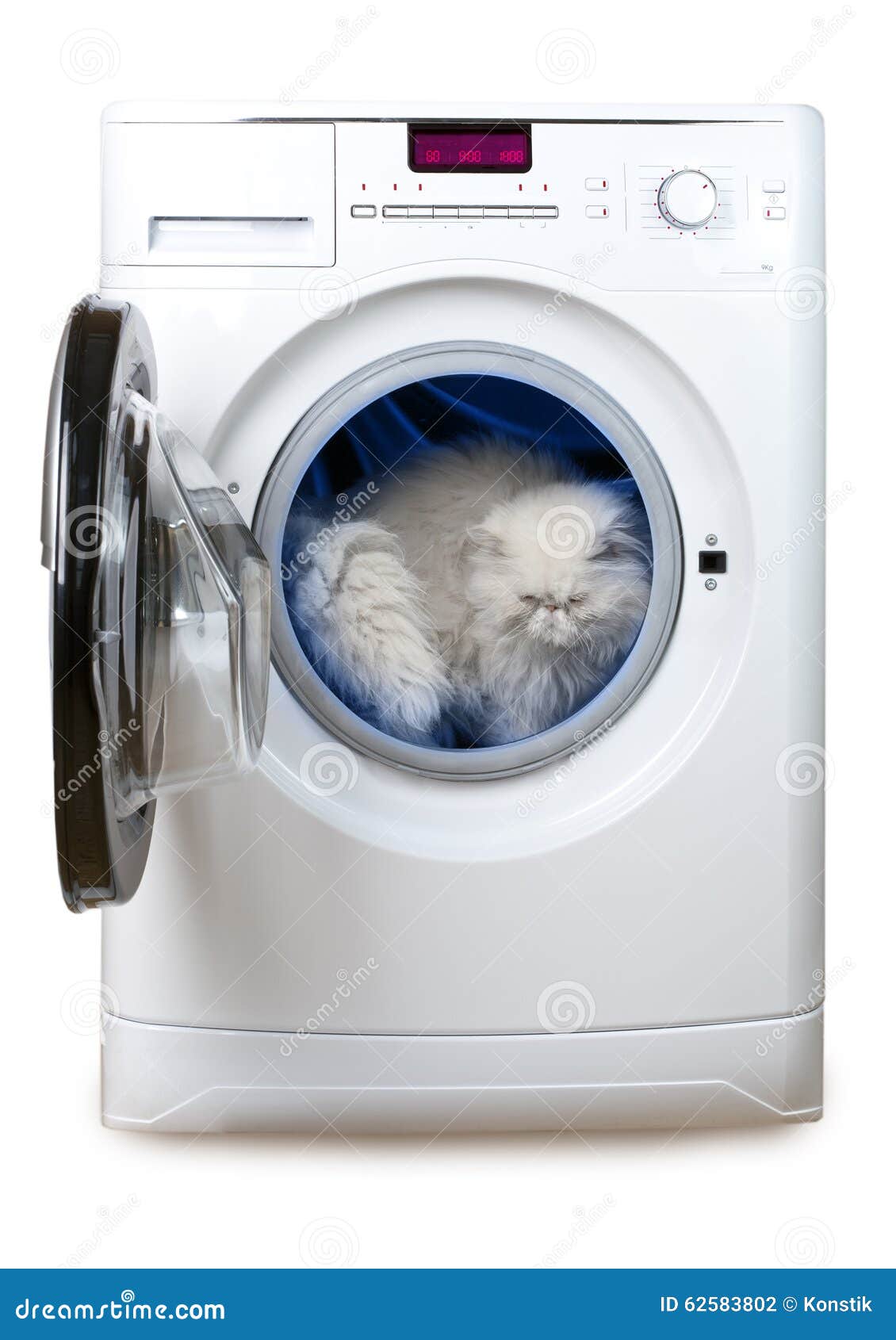 Cat in the washing machine stock photo. Image of linen - 62583802