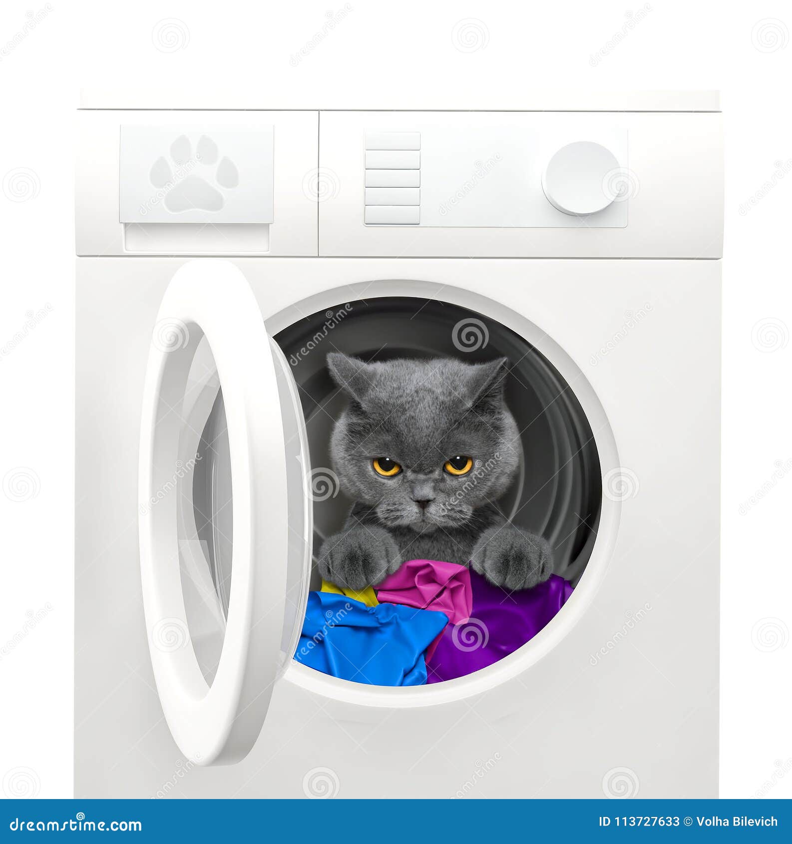 Cat After Washing In A Washing Machine. On White Stock Illustration ...