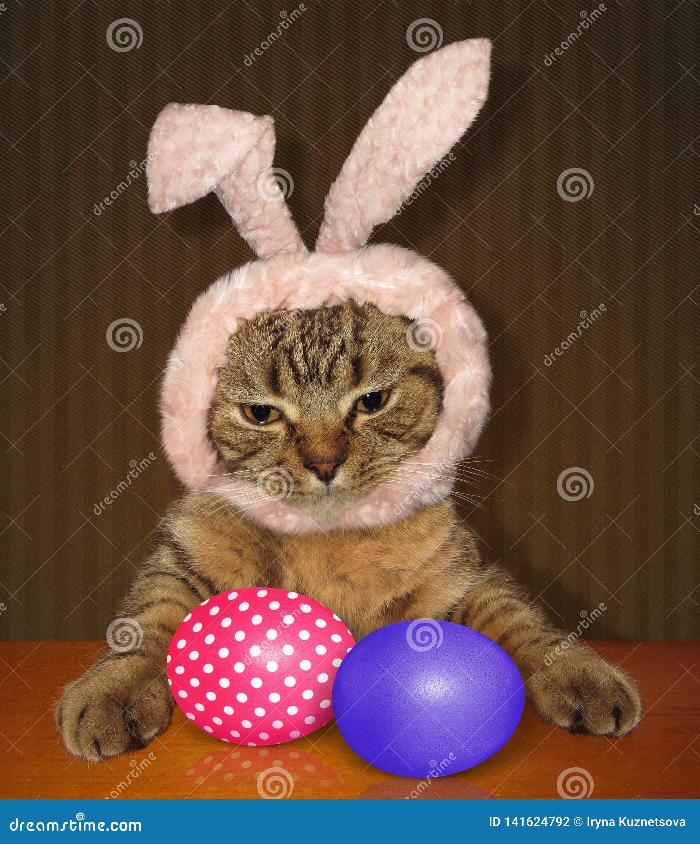 Cat Wearing Easter Bunny Ears Stock Photo - Image of table, traditional ...