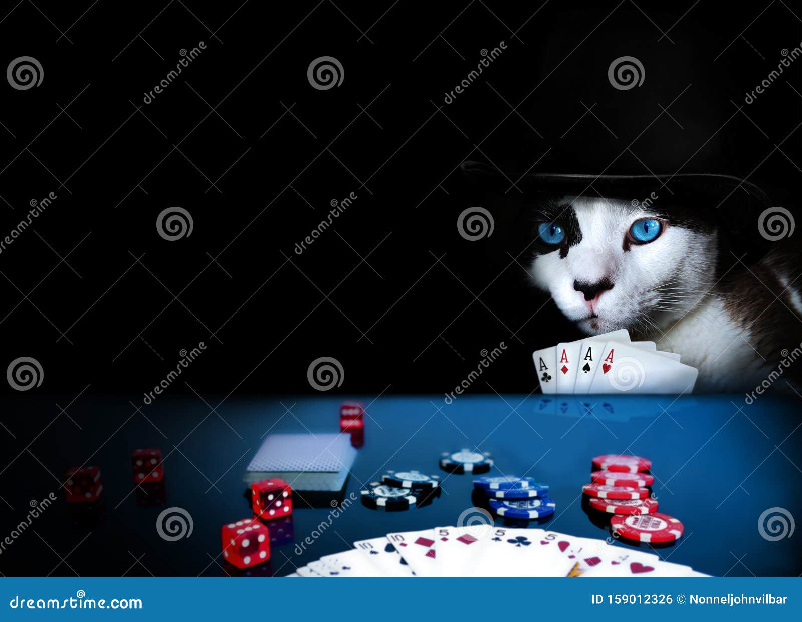 Cat Wearing a Hat Playing Poker with Four Aces in Hand Stock Photo ...