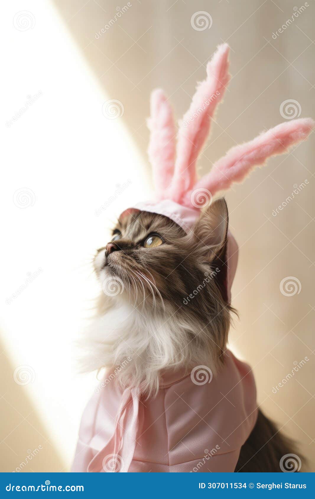 A Cat Wearing a Pink Bunny Costume with Rabbit Ears, AI Stock Photo ...
