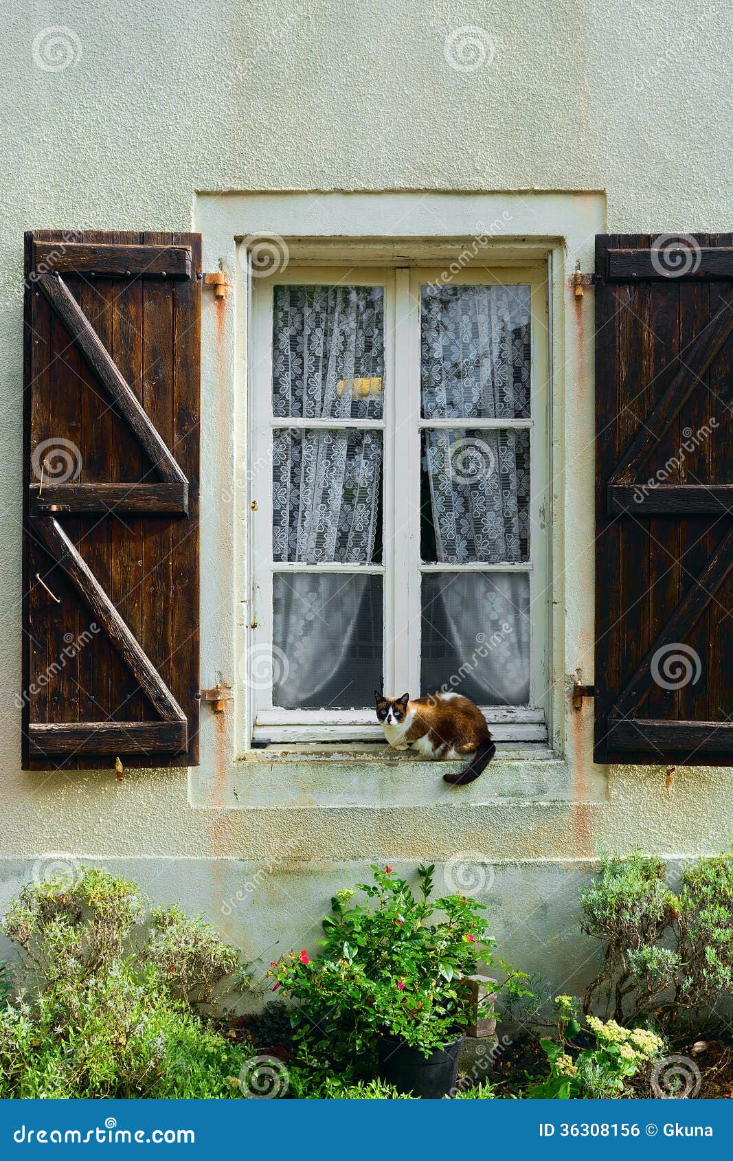 Cat on the Window stock photo. Image of medieval, lifestyle - 36308156