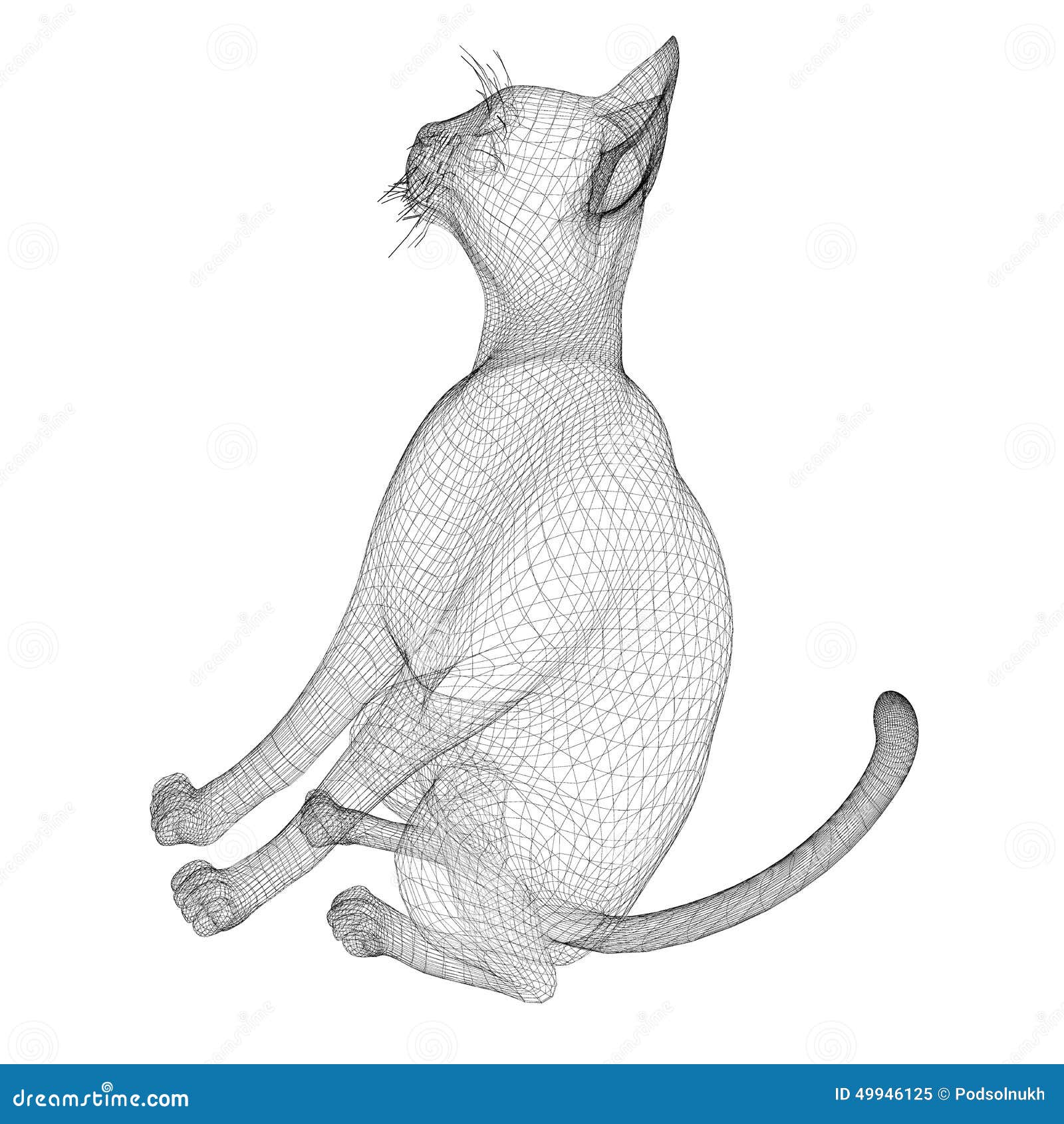 Cat wire model stock illustration. Illustration of pets - 49946125