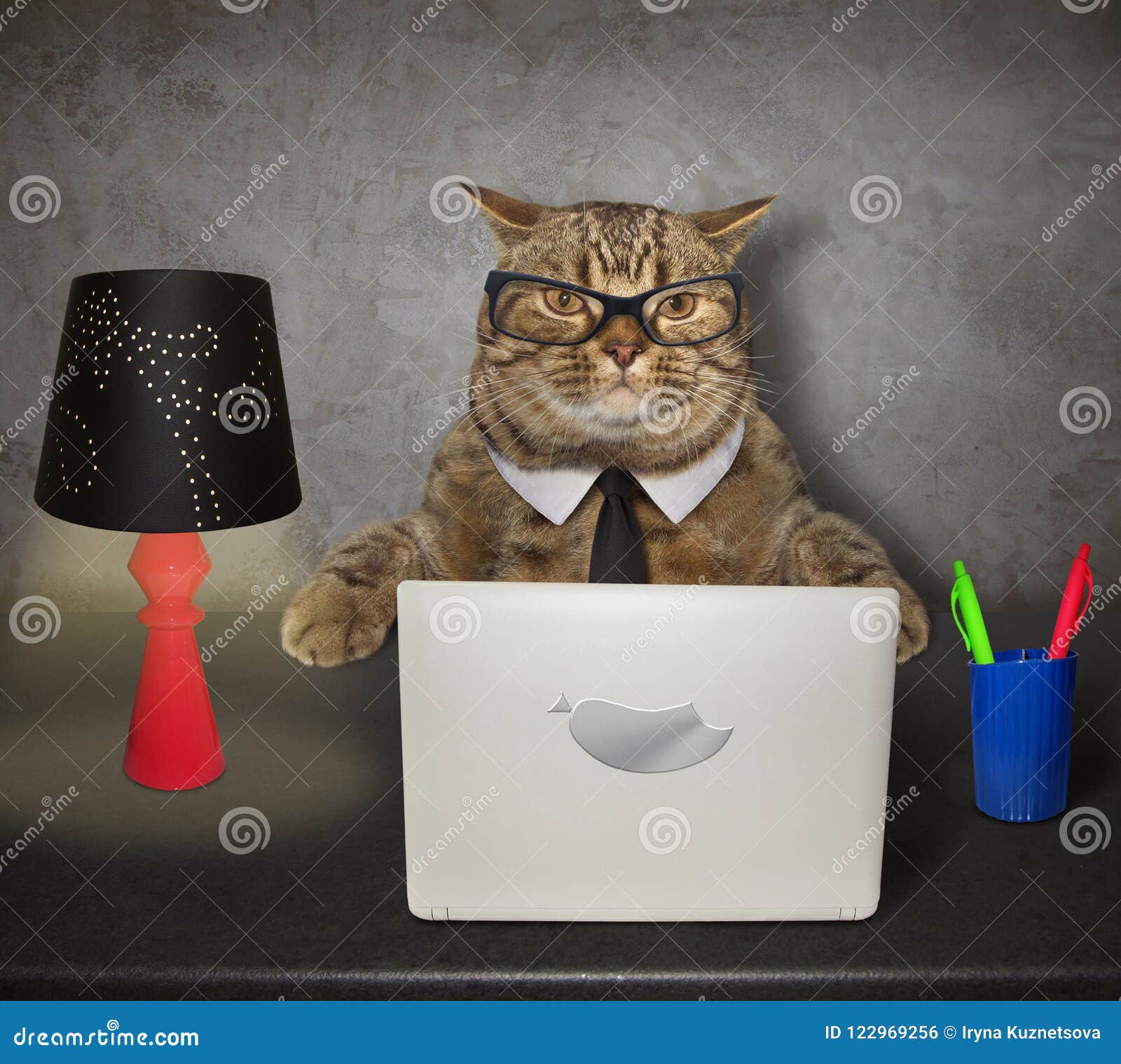 Cat works on the computer stock photo. Image of table - 122969256