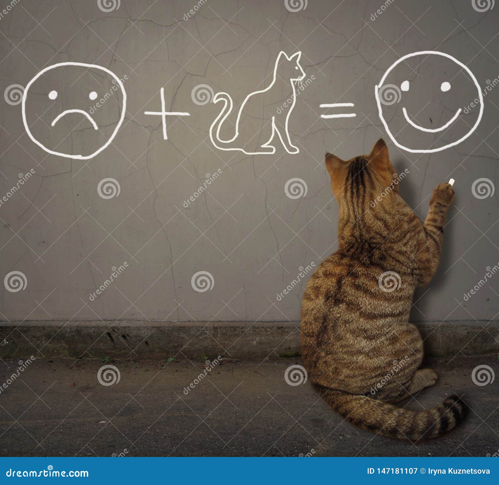 Cat Writes an Equation on the Wall Stock Image - Image of equation ...
