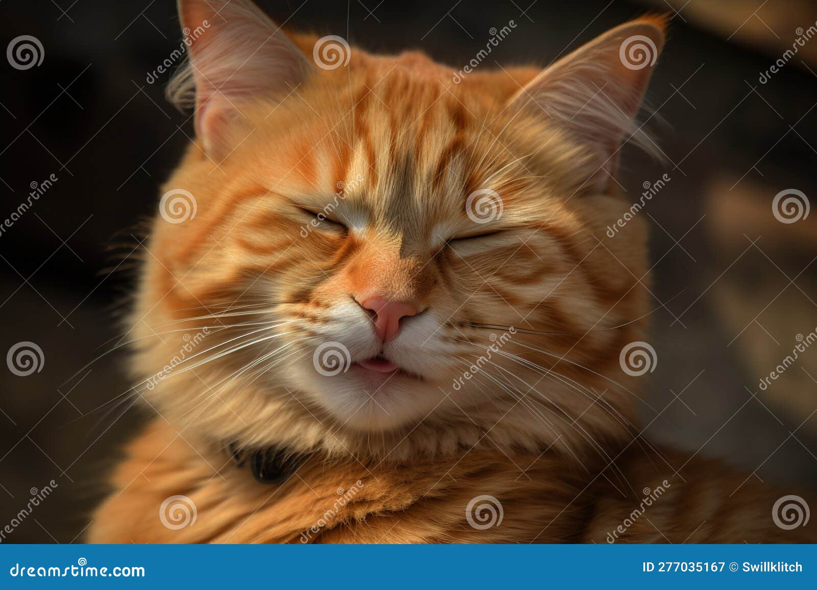 Cat with Yuck Grimace. Kitten Face with Negative Reaction. Generated AI ...